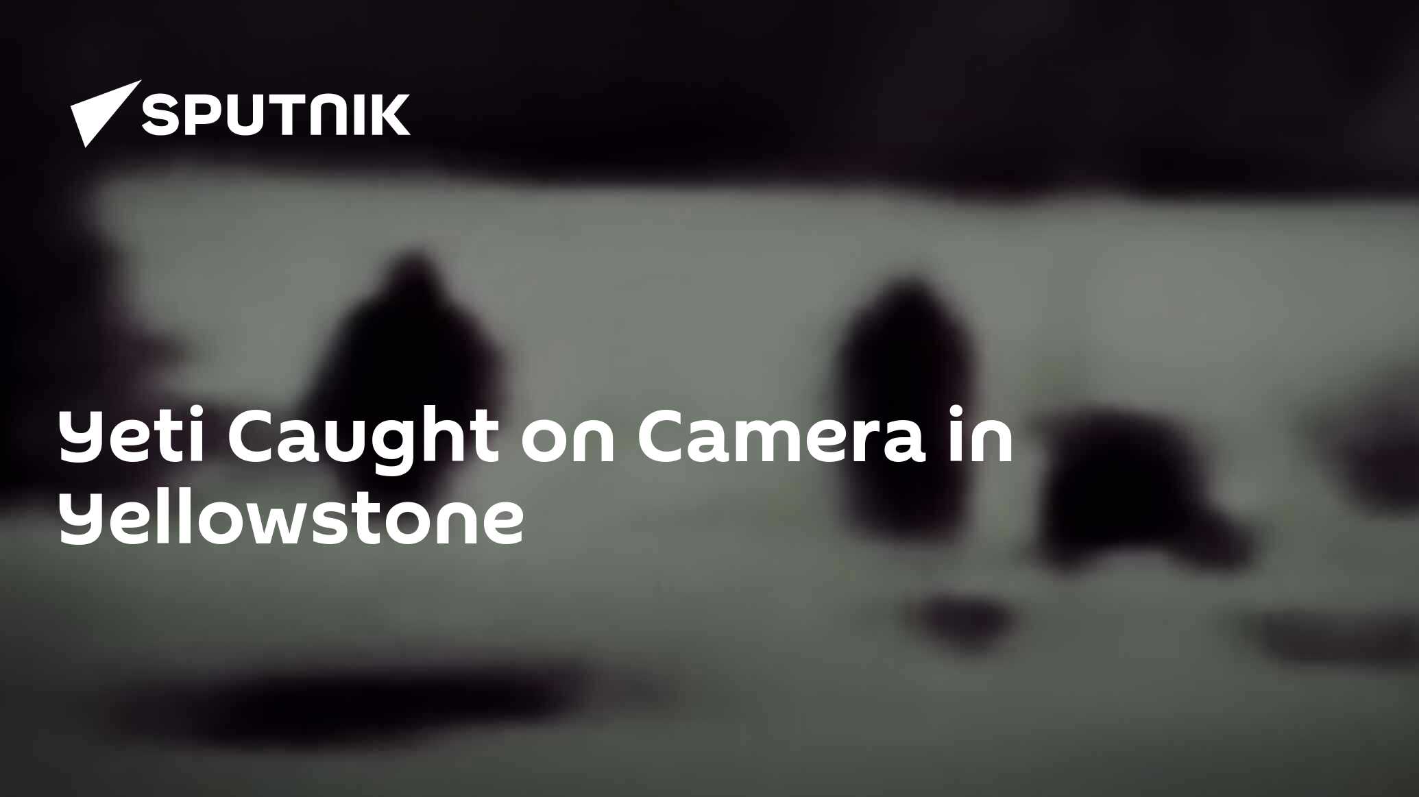 Yeti Caught on Camera in Yellowstone - 23.01.2017, Sputnik International