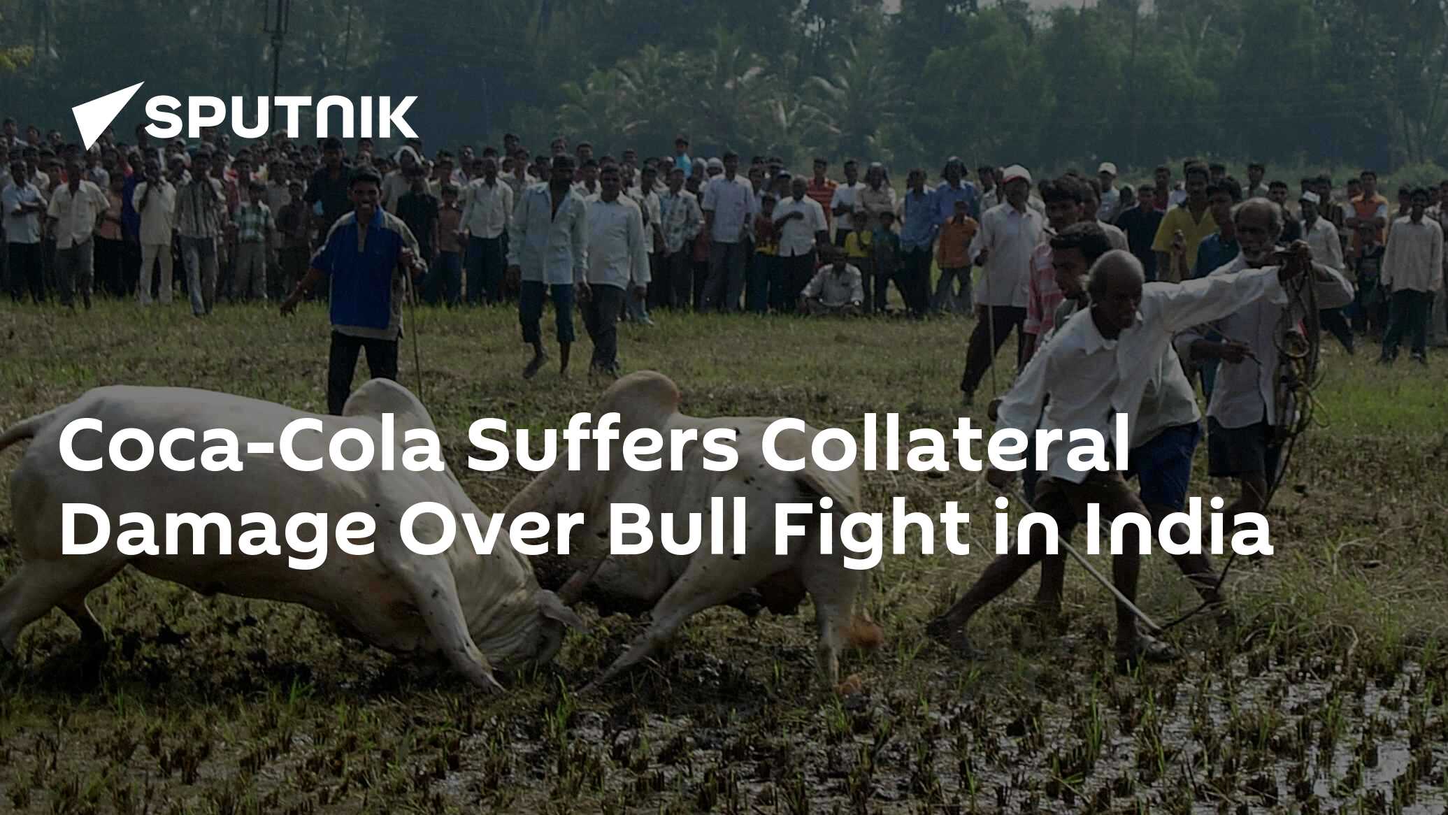 Coca-Cola Suffers Collateral Damage Over Bull Fight in India - 25.01. ...