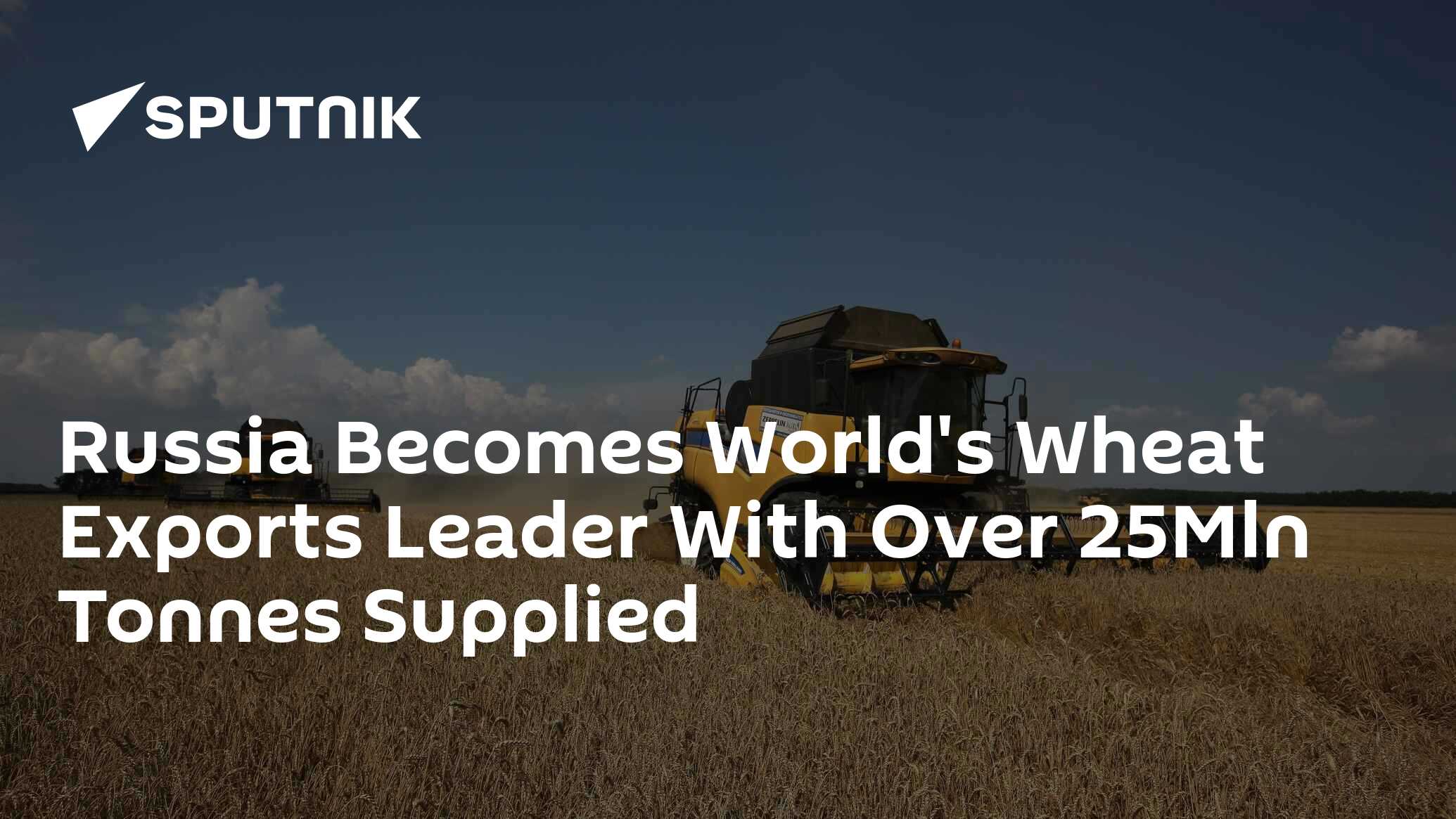 Russia Becomes World's Wheat Exports Leader With Over 25Mln Tonnes ...