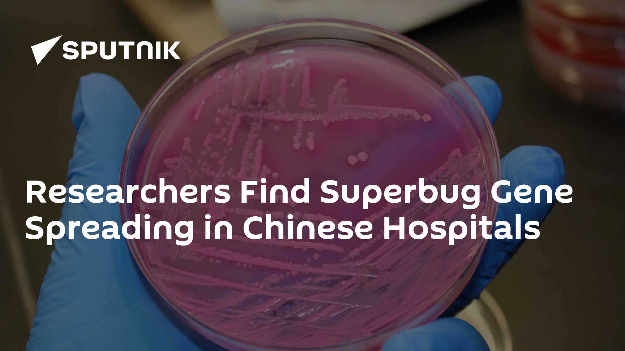 Researchers Find Superbug Gene Spreading in Chinese Hospitals - 29.01. ...