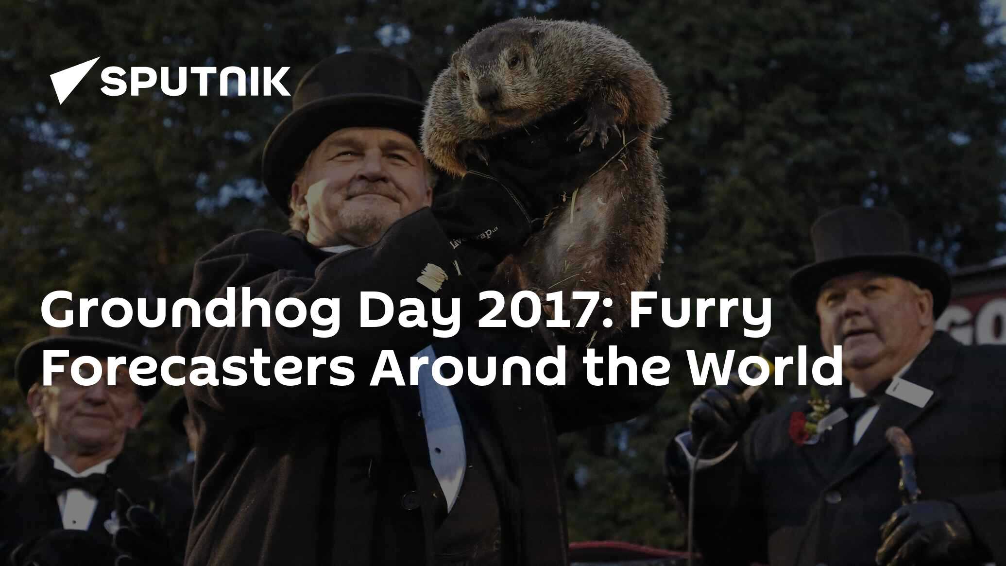 Groundhog Day 2017: Furry Forecasters Around the World - 02.02.2017 ...
