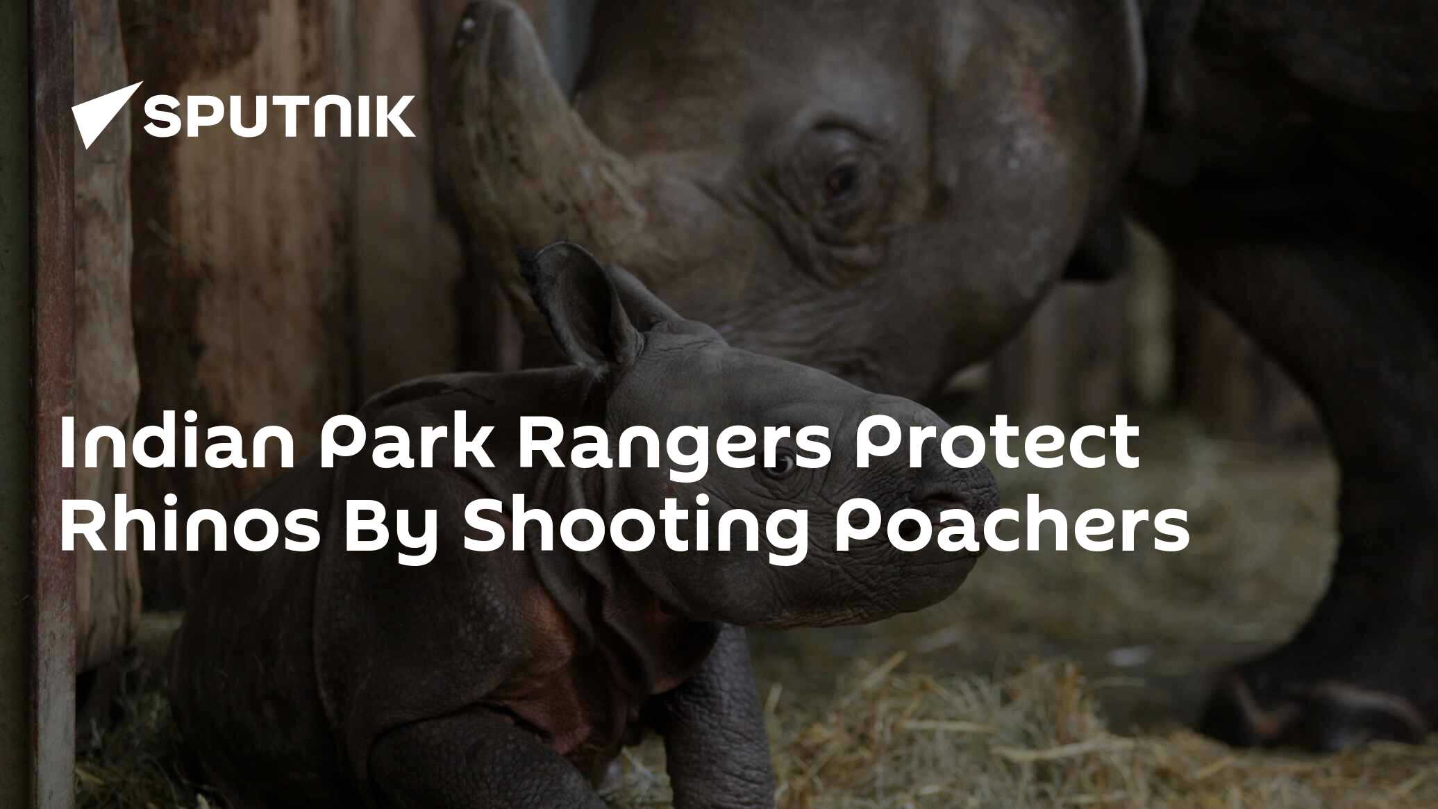 Indian Park Rangers Protect Rhinos By Shooting Poachers - 13.02.2017 ...