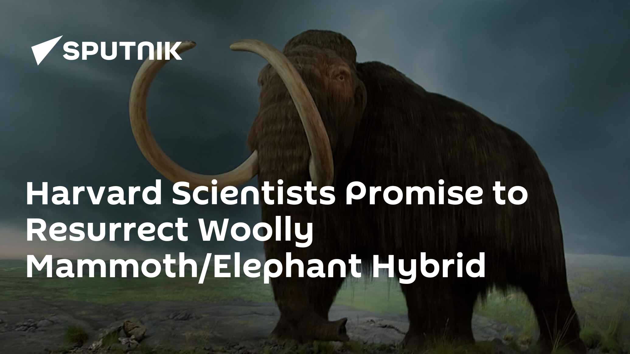 Harvard Scientists Promise to Resurrect Woolly Mammoth/Elephant Hybrid ...