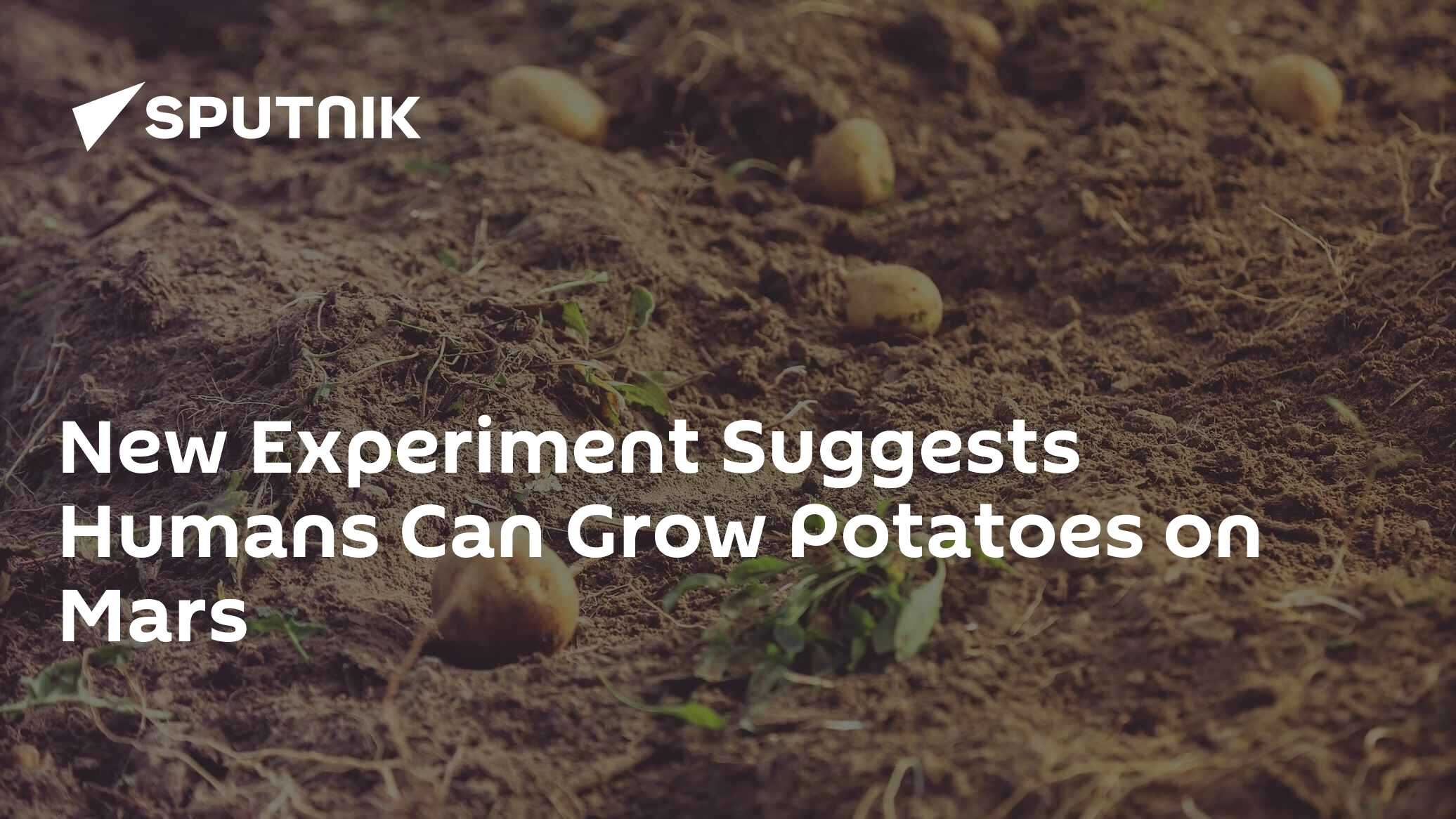 New Experiment Suggests Humans Can Grow Potatoes on Mars - 09.03.2017 ...