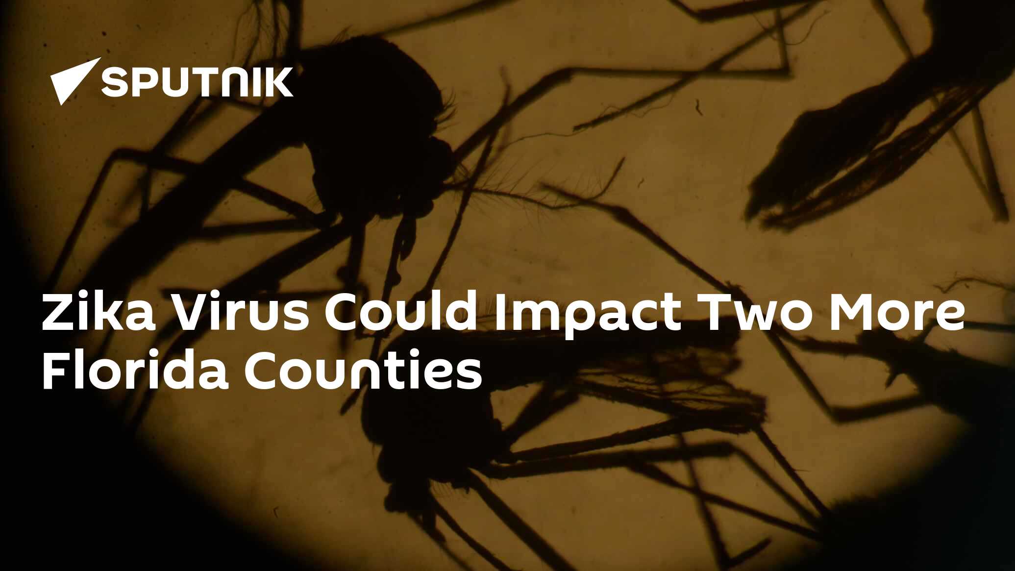 Zika Virus Could Impact Two More Florida Counties - 14.03.2017, Sputnik ...