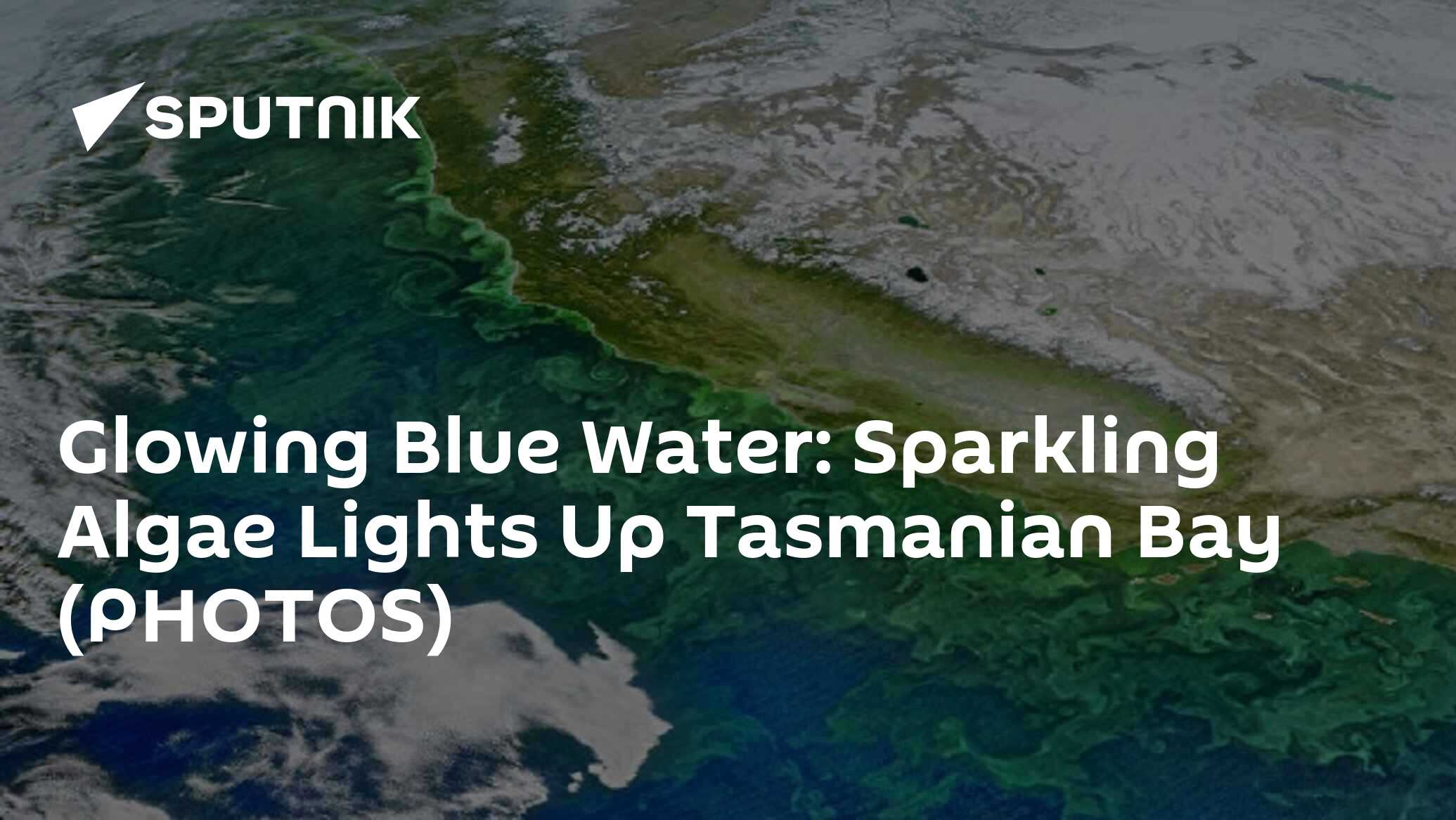 Glowing Blue Water: Sparkling Algae Lights Up Tasmanian Bay (PHOTOS ...