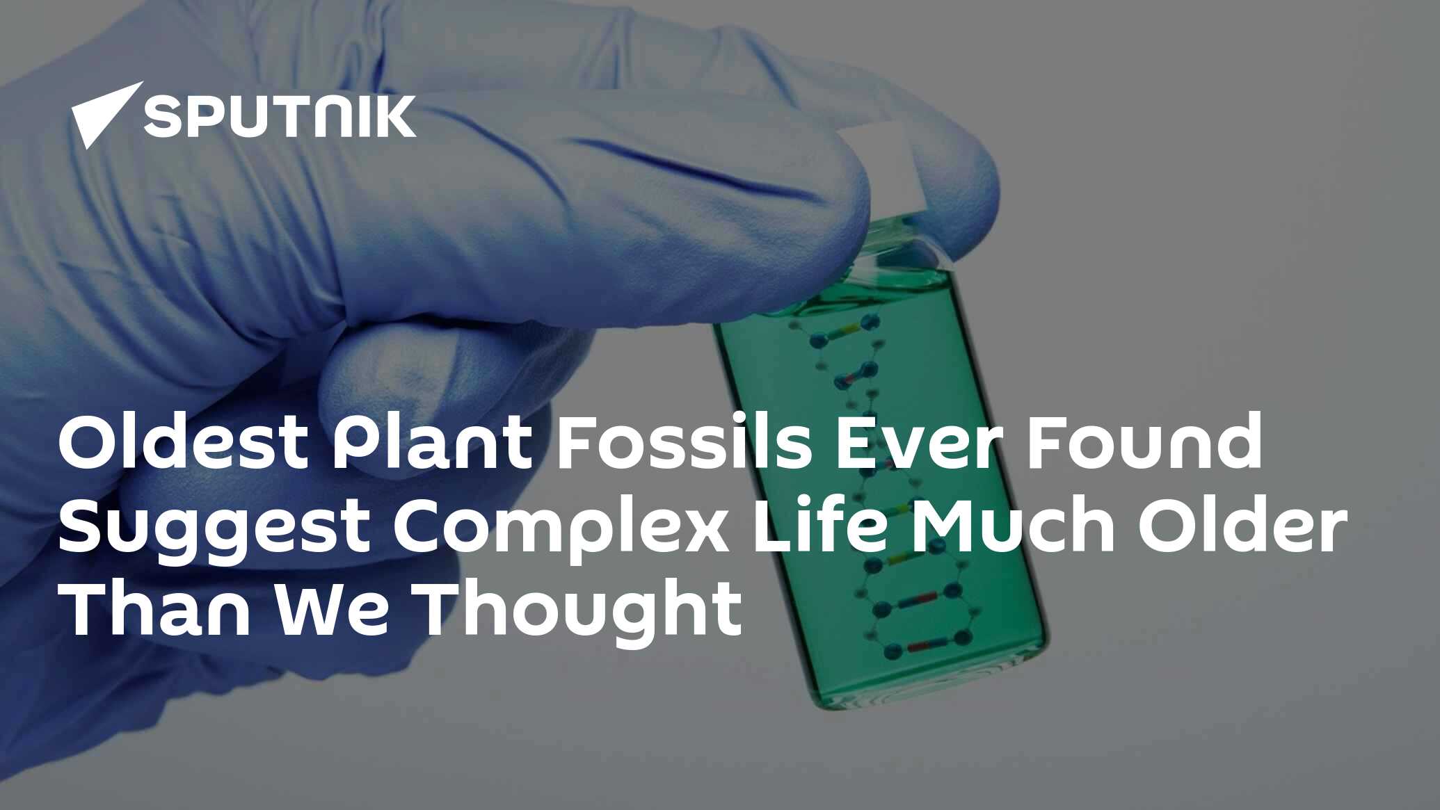 Oldest Plant Fossils Ever Found Suggest Complex Life Much Older Than We ...