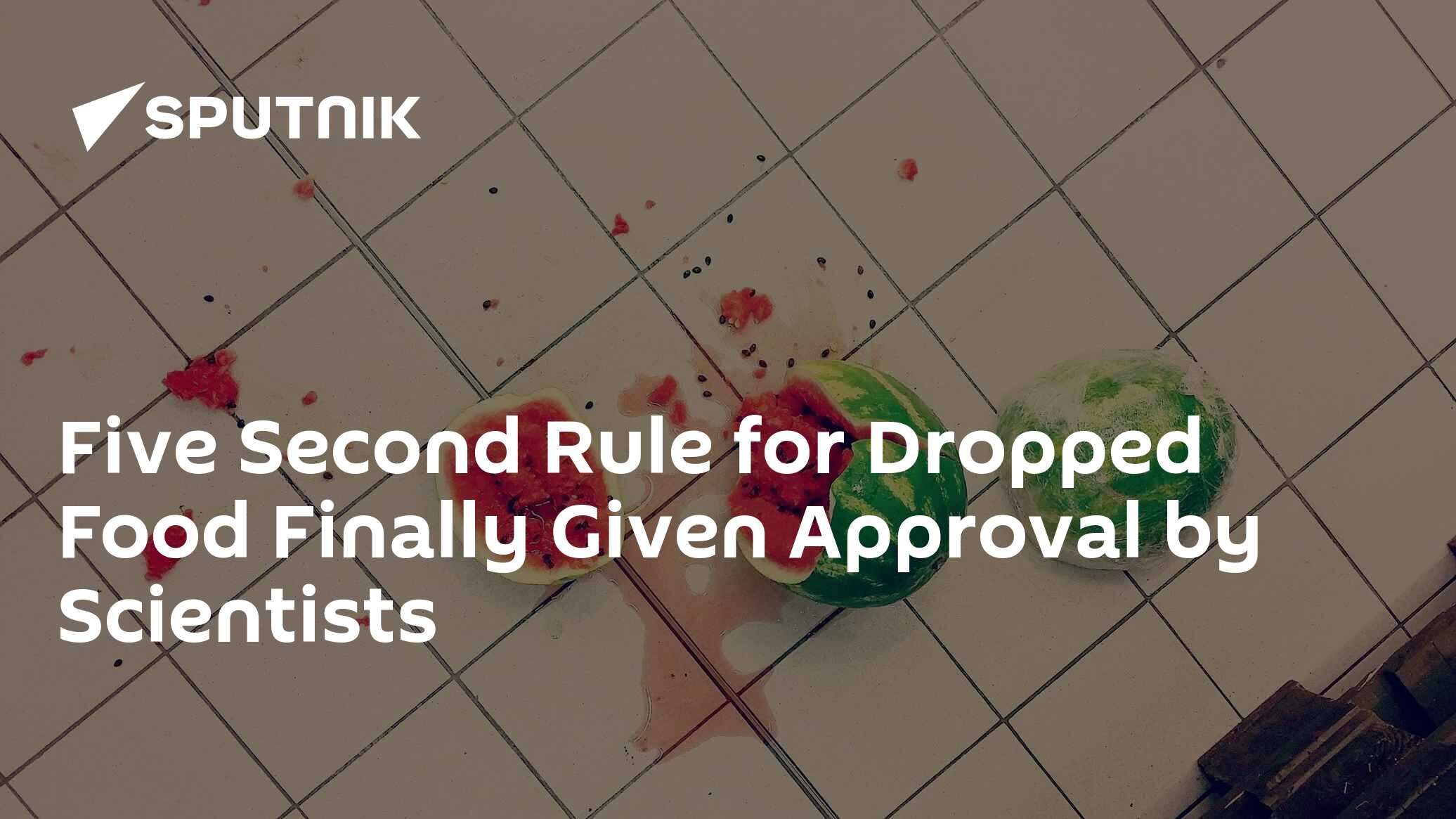 Five Second Rule for Dropped Food Finally Given Approval by Scientists ...