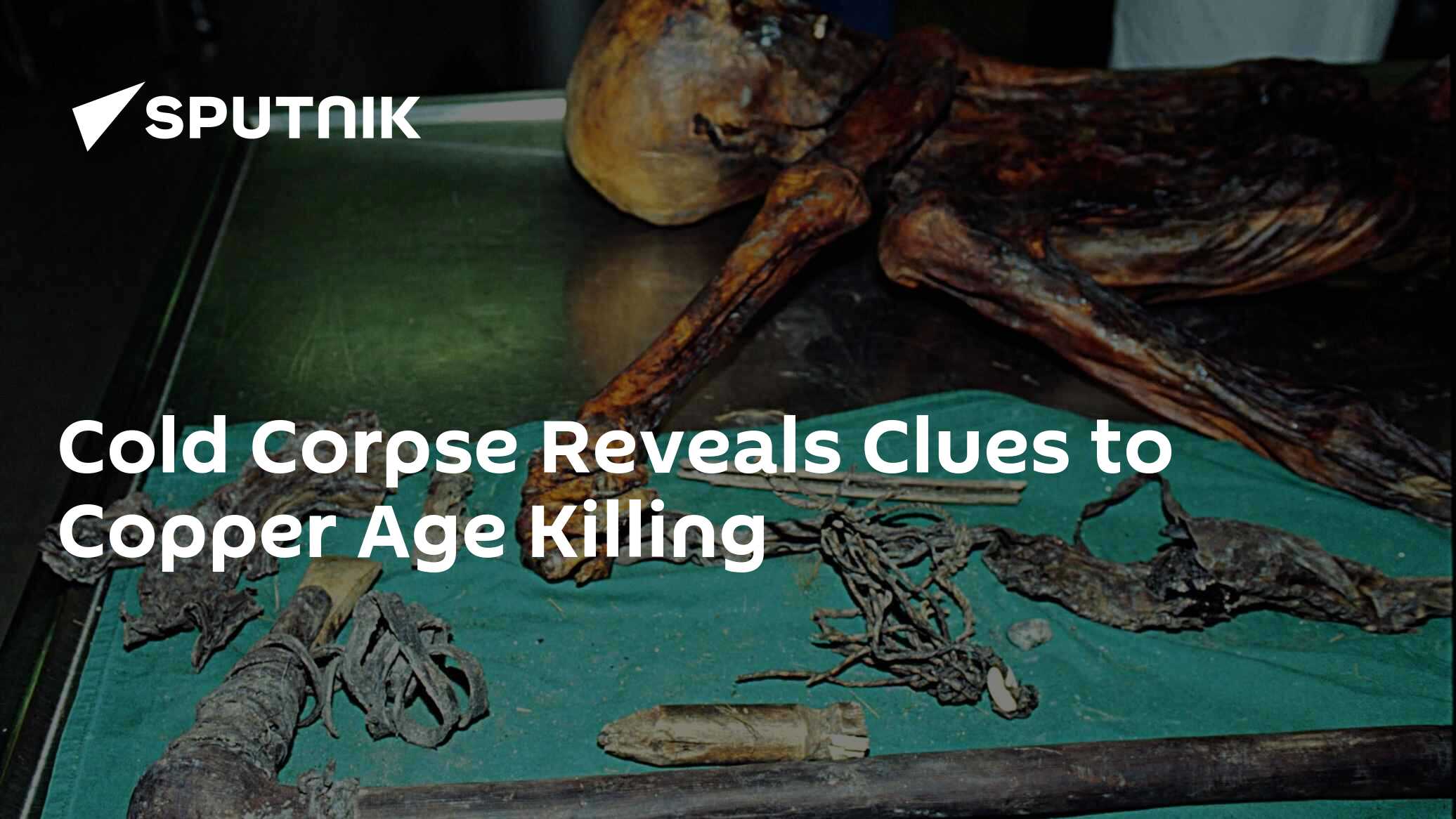 Cold Corpse Reveals Clues to Copper Age Killing - 27.03.2017, Sputnik ...