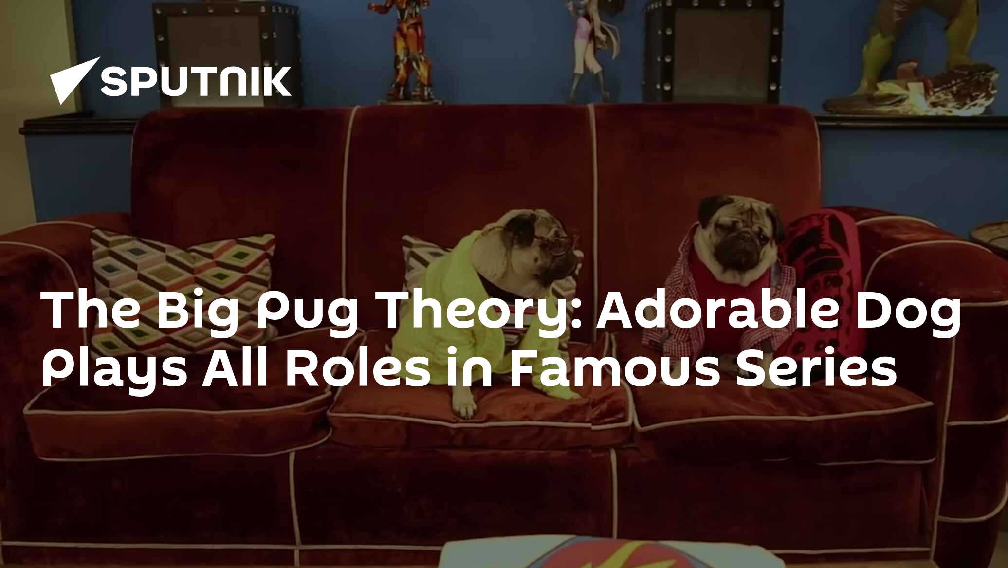 The Big Pug Theory: Adorable Dog Plays All Roles in Famous Series - 12. ...