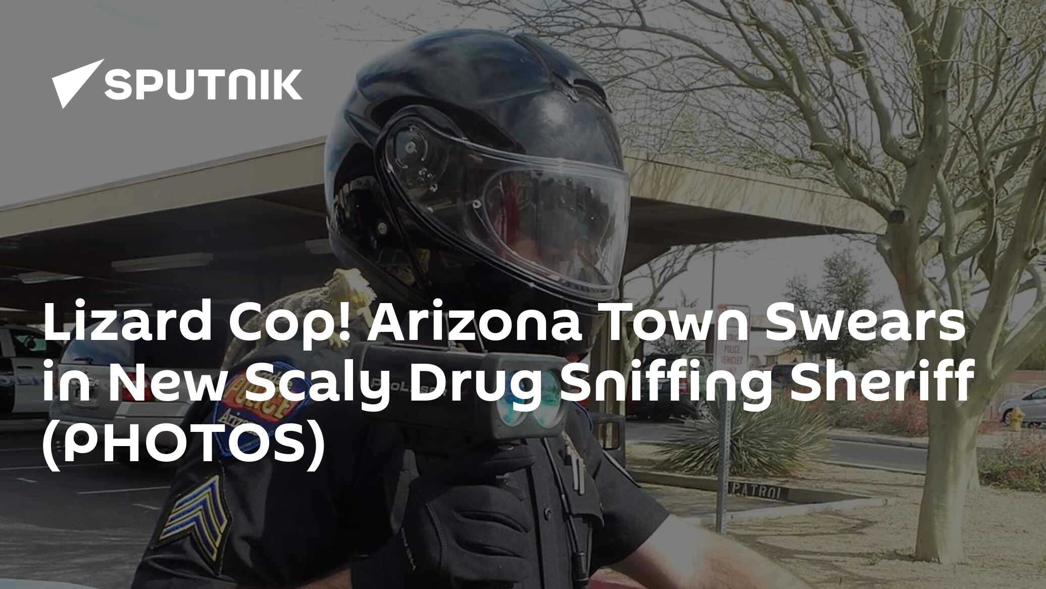 Lizard Cop! Arizona Town Swears in New Scaly Drug Sniffing Sheriff ...