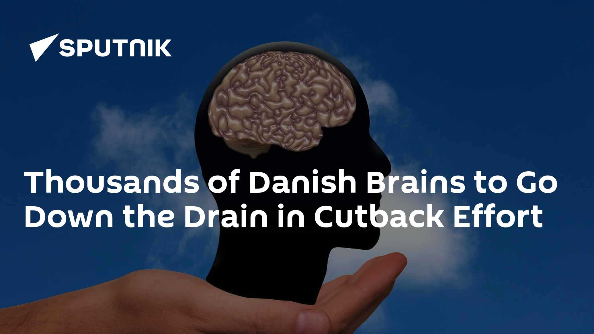 Thousands of Danish Brains to Go Down the Drain in Cutback Effort - 21. ...