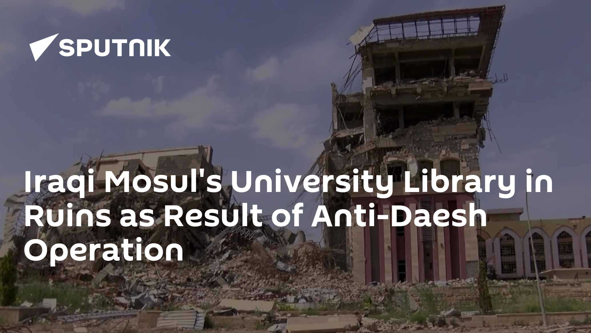 Iraqi Mosul's University Library in Ruins as Result of Anti-Daesh ...