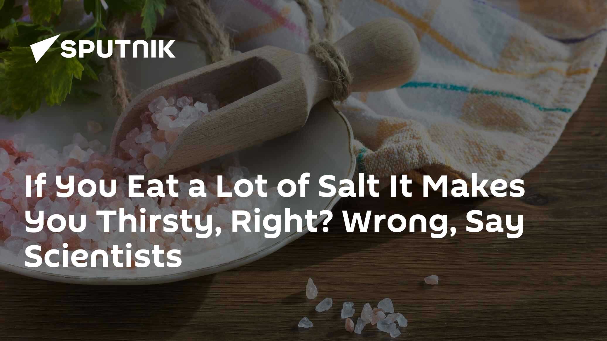 If You Eat a Lot of Salt It Makes You Thirsty, Right? Wrong, Say ...