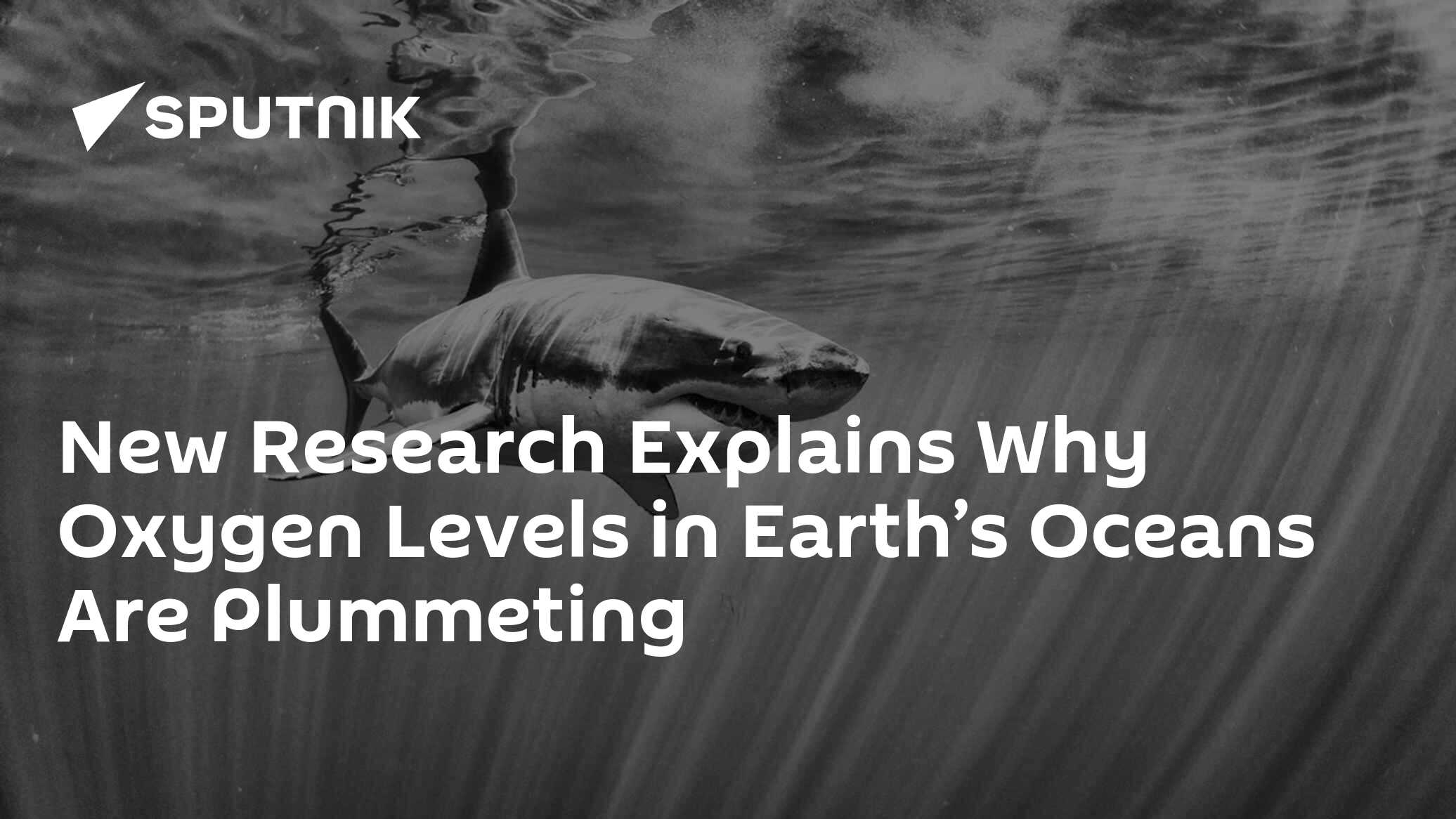 New Research Explains Why Oxygen Levels in Earth’s Oceans Are ...