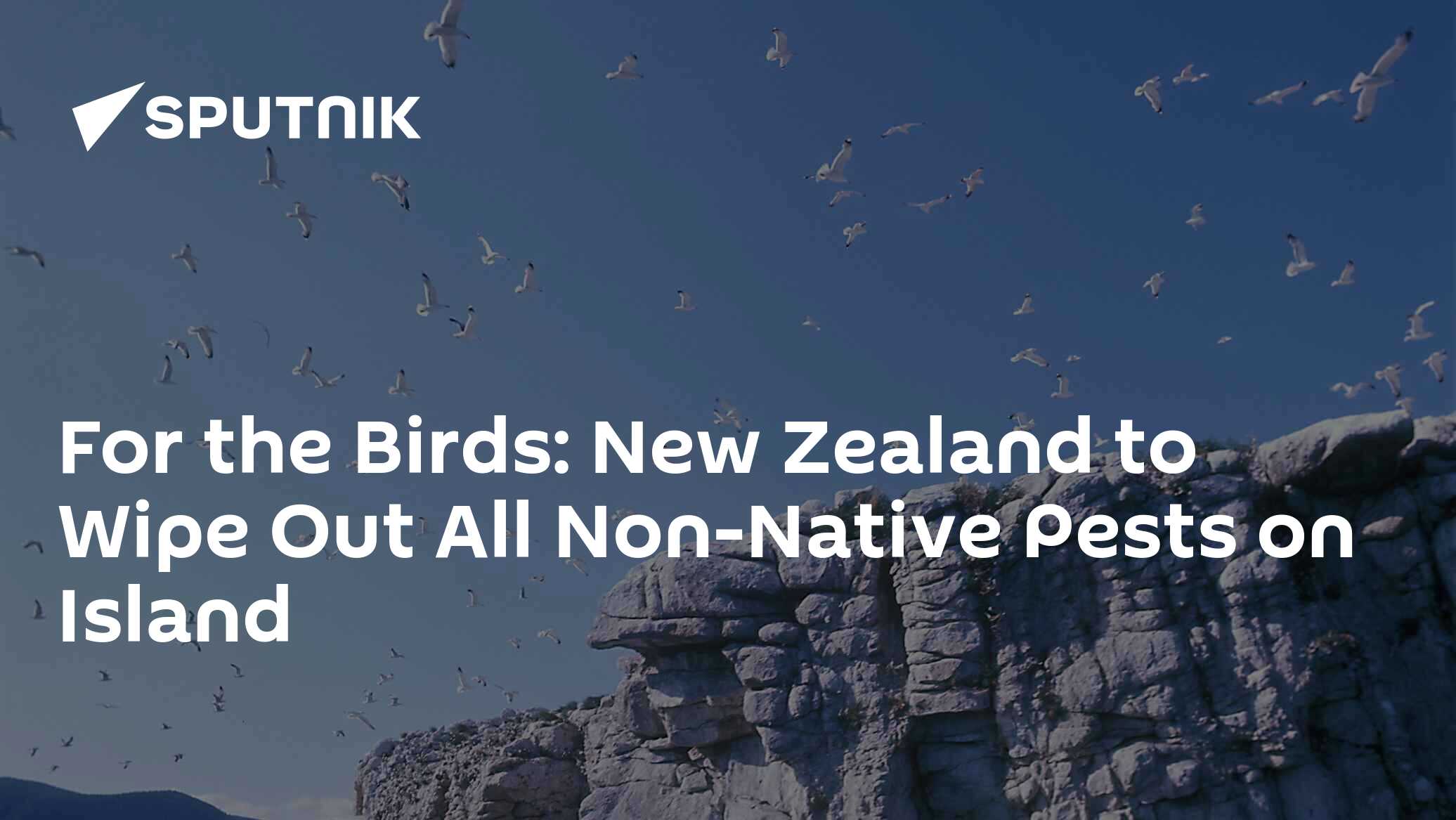 For the Birds: New Zealand to Wipe Out All Non-Native Pests on Island ...
