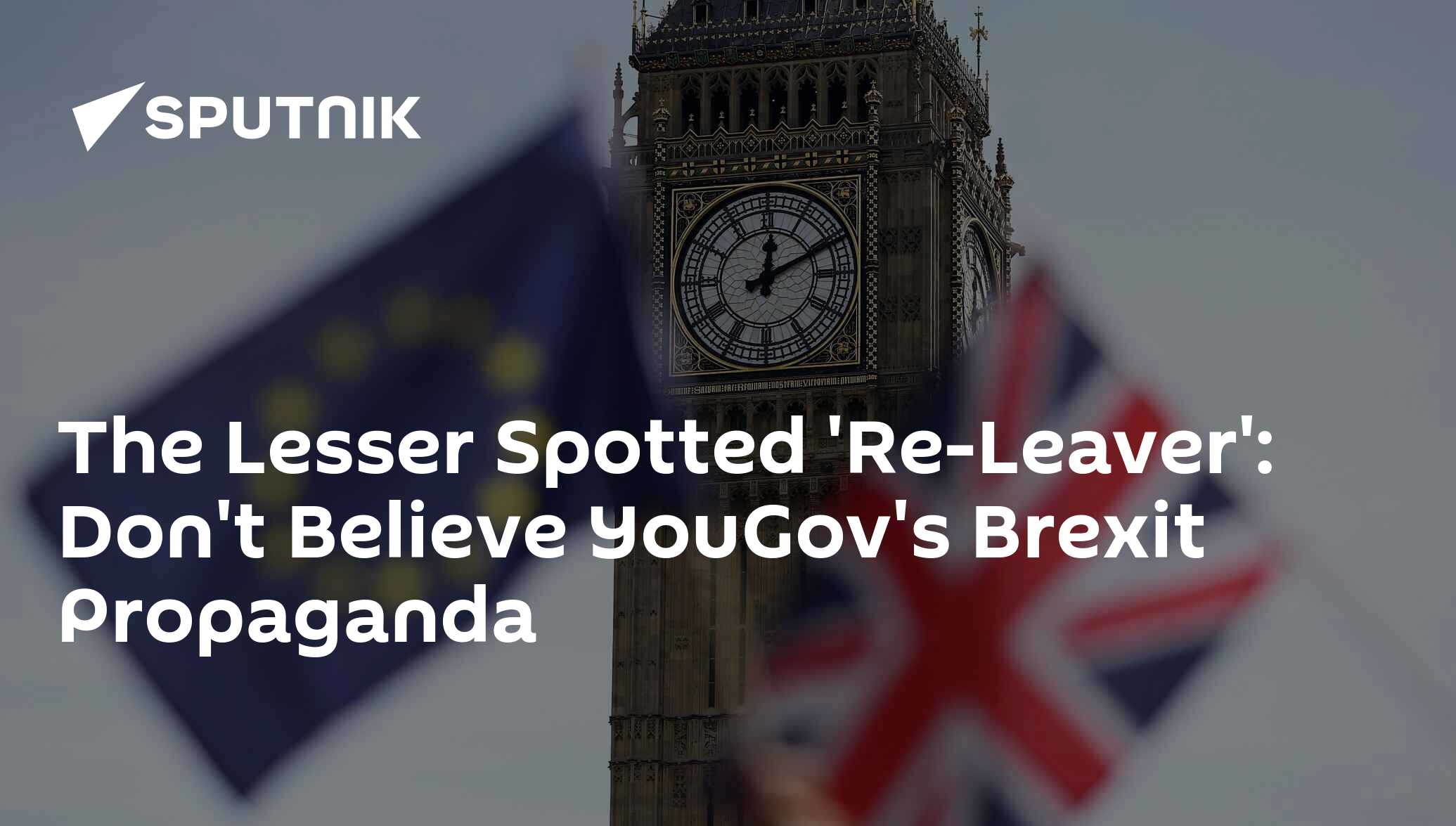 The Lesser Spotted 'Re-Leaver': Don't Believe YouGov's Brexit ...