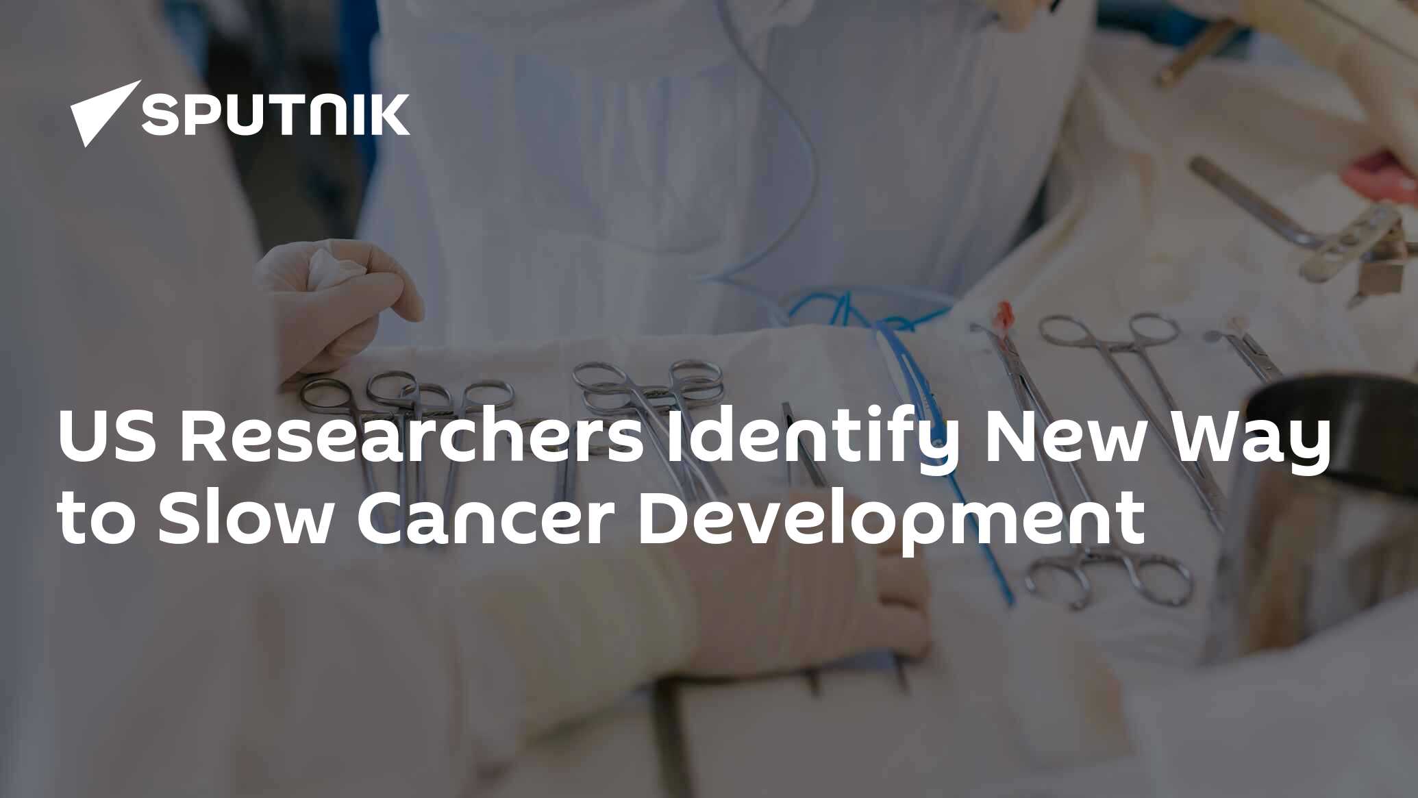 US Researchers Identify New Way to Slow Cancer Development - 30.05.2017 ...