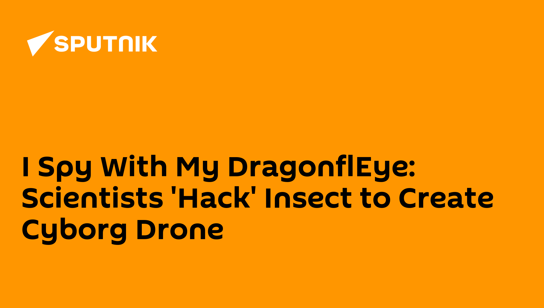 I Spy With My DragonflEye: Scientists 'Hack' Insect to Create Cyborg ...