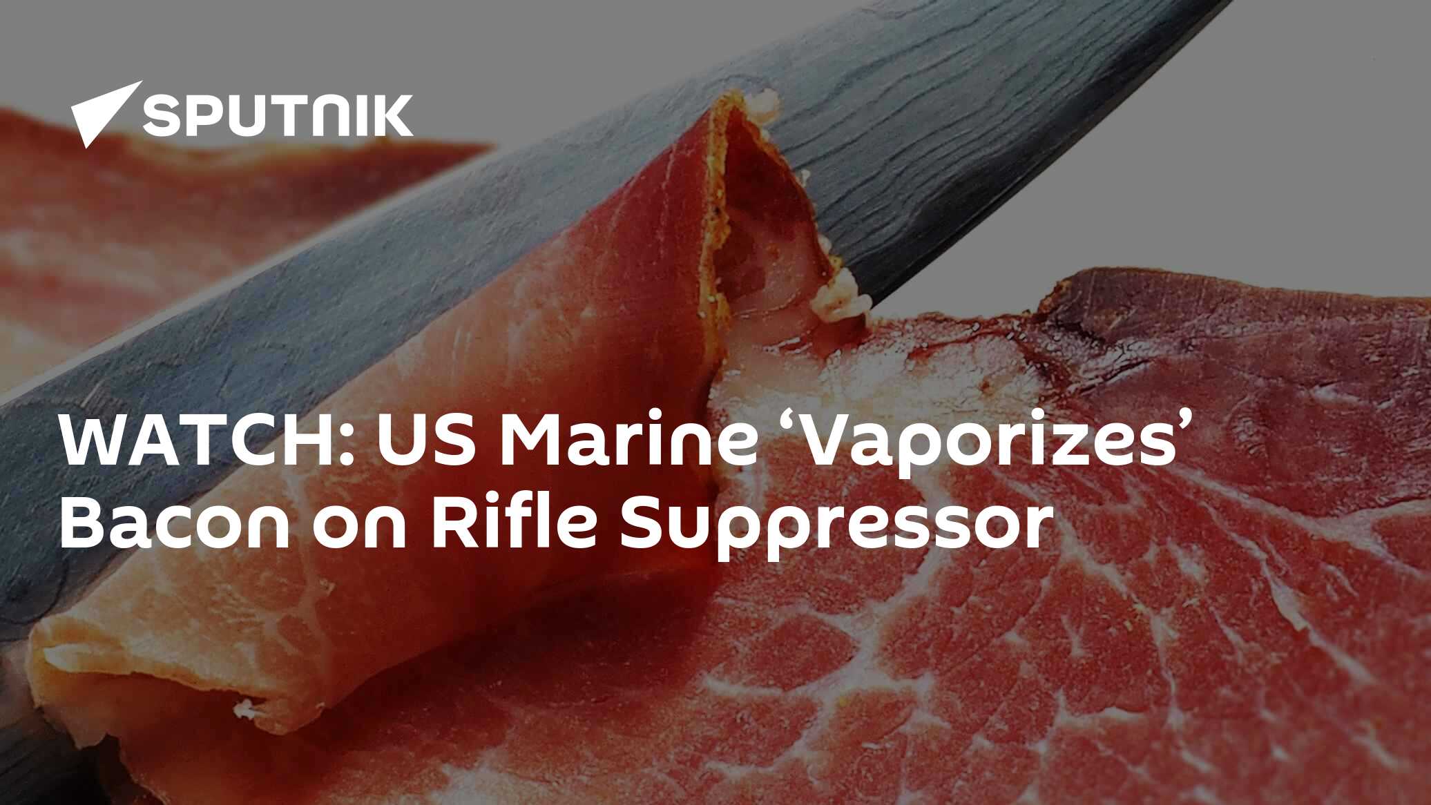 WATCH: US Marine ‘Vaporizes’ Bacon on Rifle Suppressor - 04.06.2017 ...
