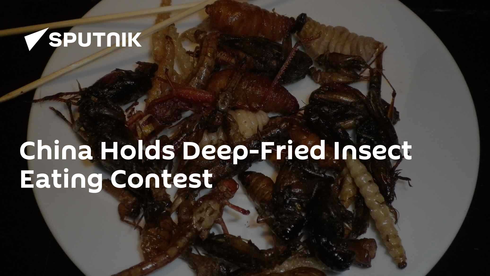 China Holds Deep-Fried Insect Eating Contest - 28.06.2017, Sputnik ...
