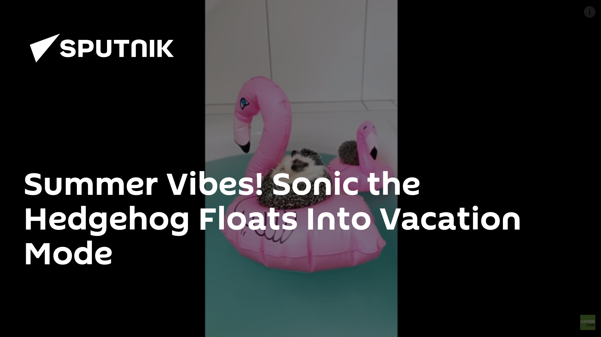 Summer Vibes! Sonic the Hedgehog Floats Into Vacation Mode - 06.07.2017 ...