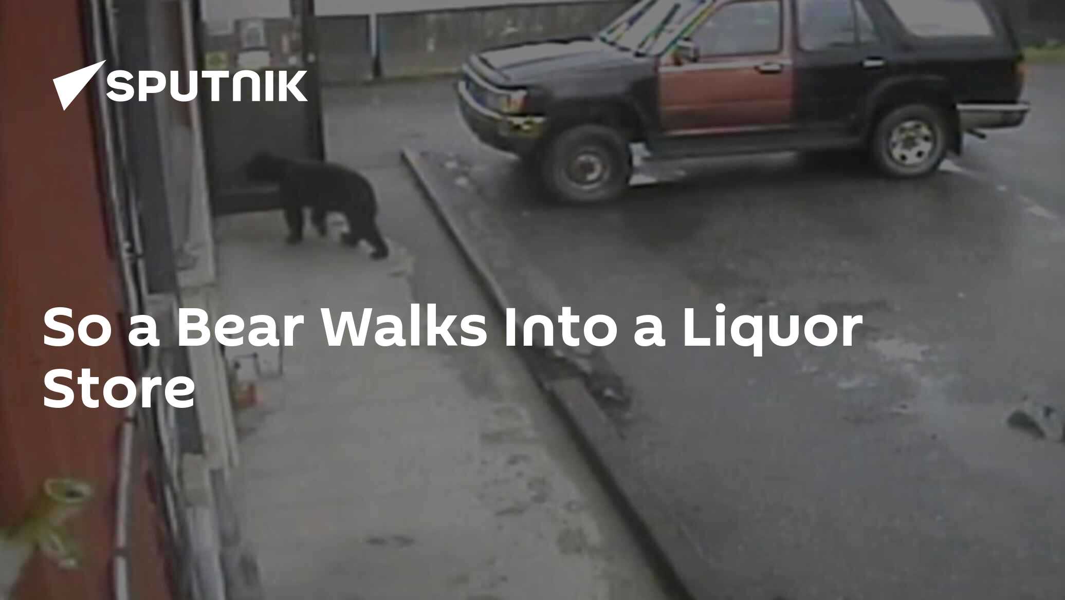 So a Bear Walks Into a Liquor Store - 22.07.2017, Sputnik International