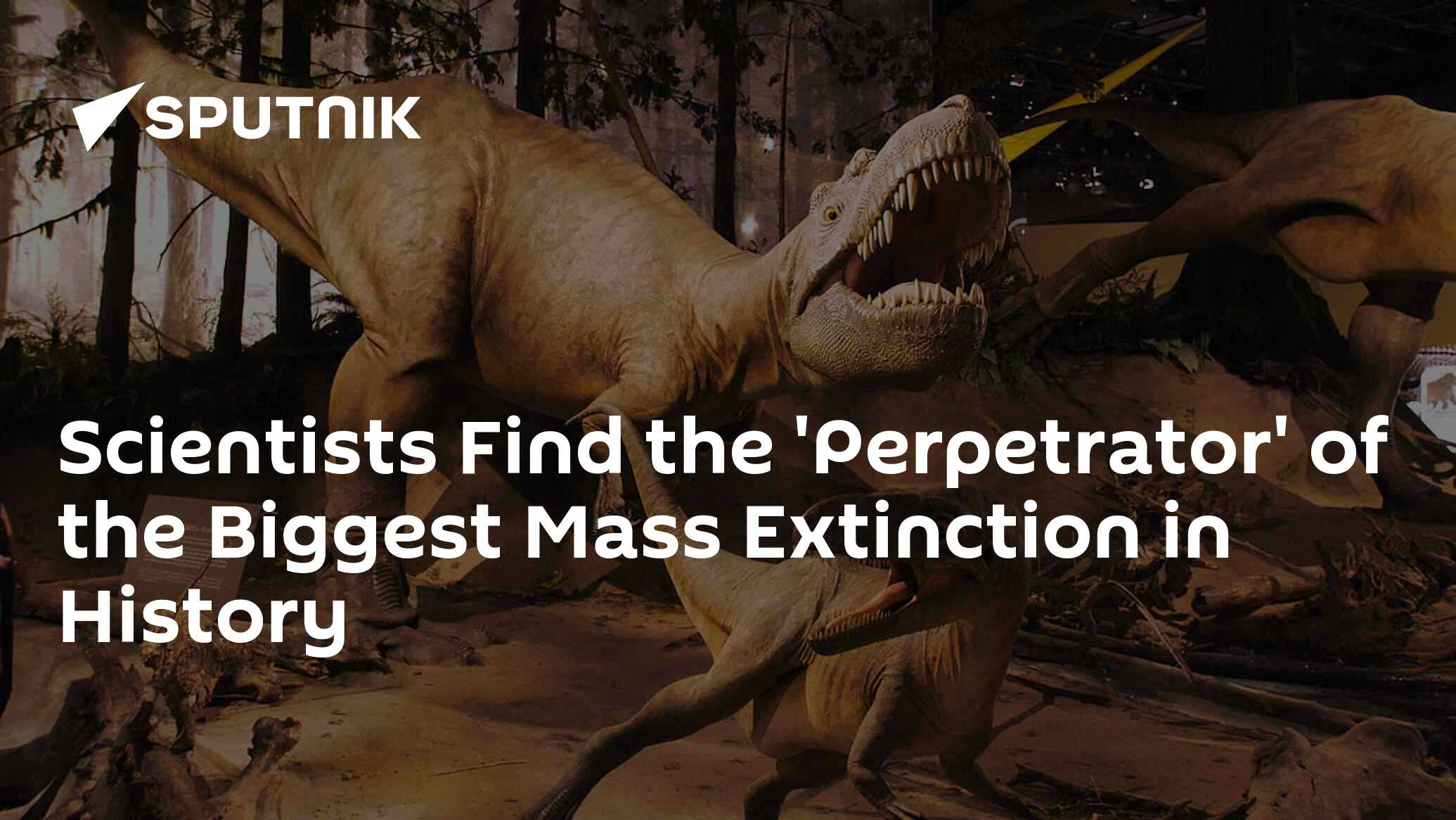 Scientists Find the 'Perpetrator' of the Biggest Mass Extinction in ...