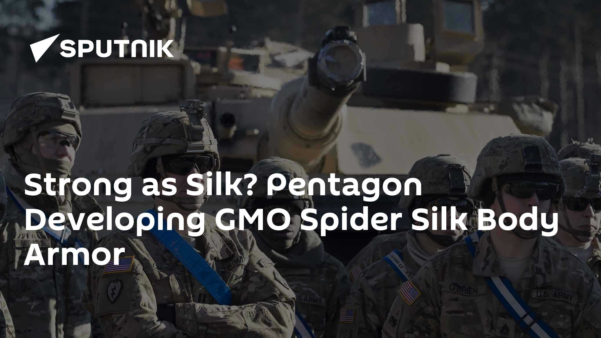 Strong as Silk? Pentagon Developing GMO Spider Silk Body Armor - 12.08. ...