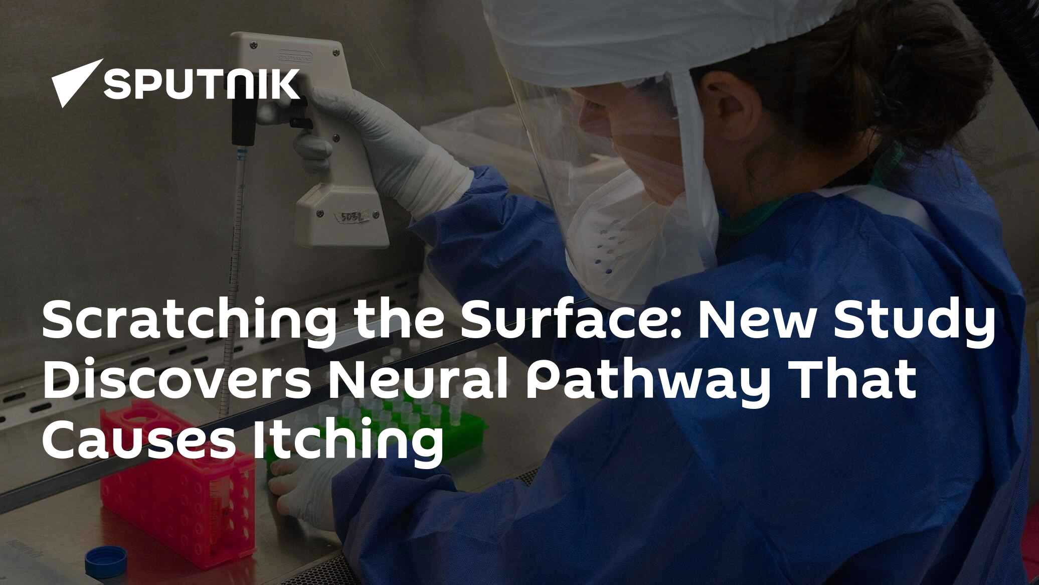 Scratching the Surface: New Study Discovers Neural Pathway That Causes ...