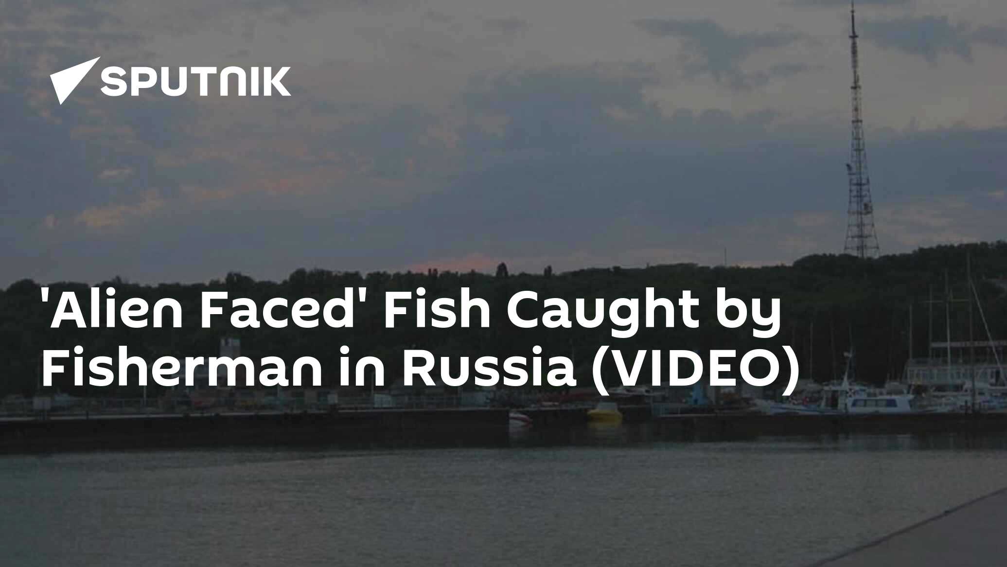 'Alien Faced' Fish Caught by Fisherman in Russia (VIDEO) - 13.09.2017 ...