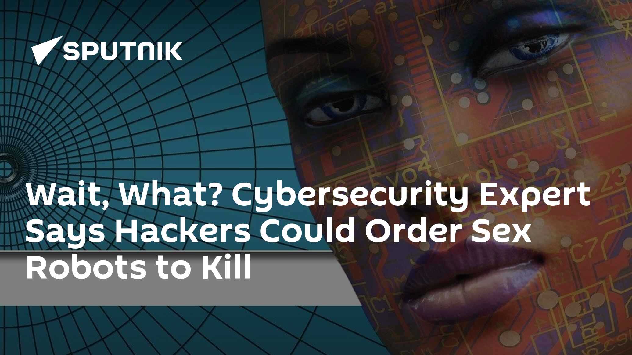 Wait What Cybersecurity Expert Says Hackers Could Order Sex Robots To Kill 14 09 2017