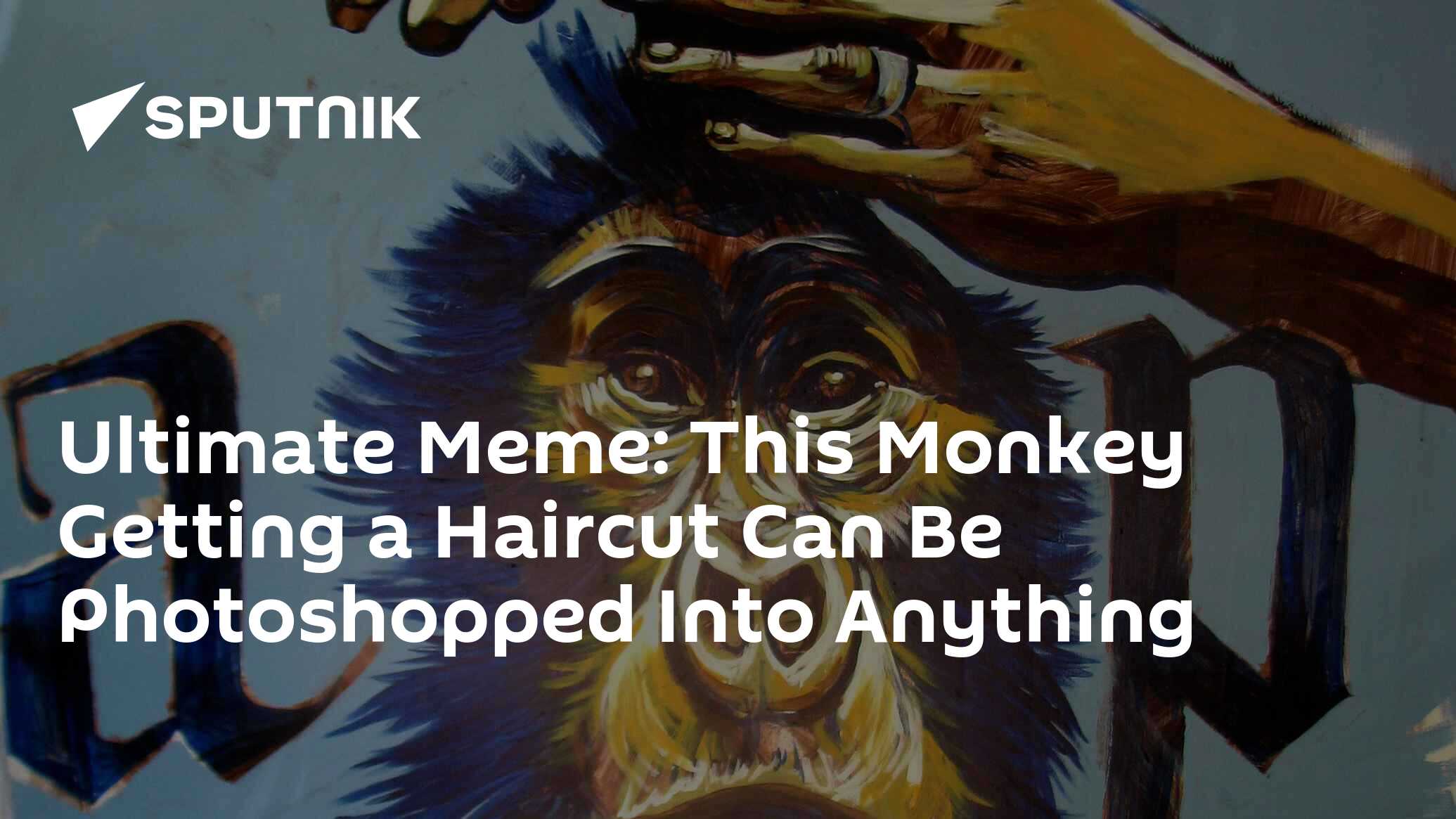 Ultimate Meme: This Monkey Getting a Haircut Can Be Photoshopped Into ...