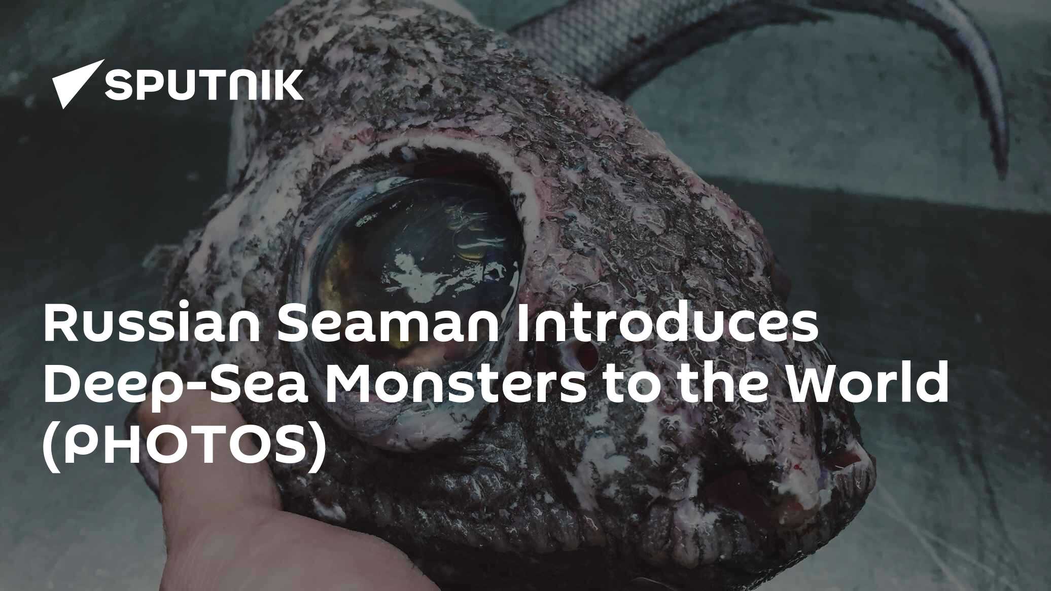 Russian Seaman Introduces Deep-Sea Monsters to the World (PHOTOS) - 09. ...