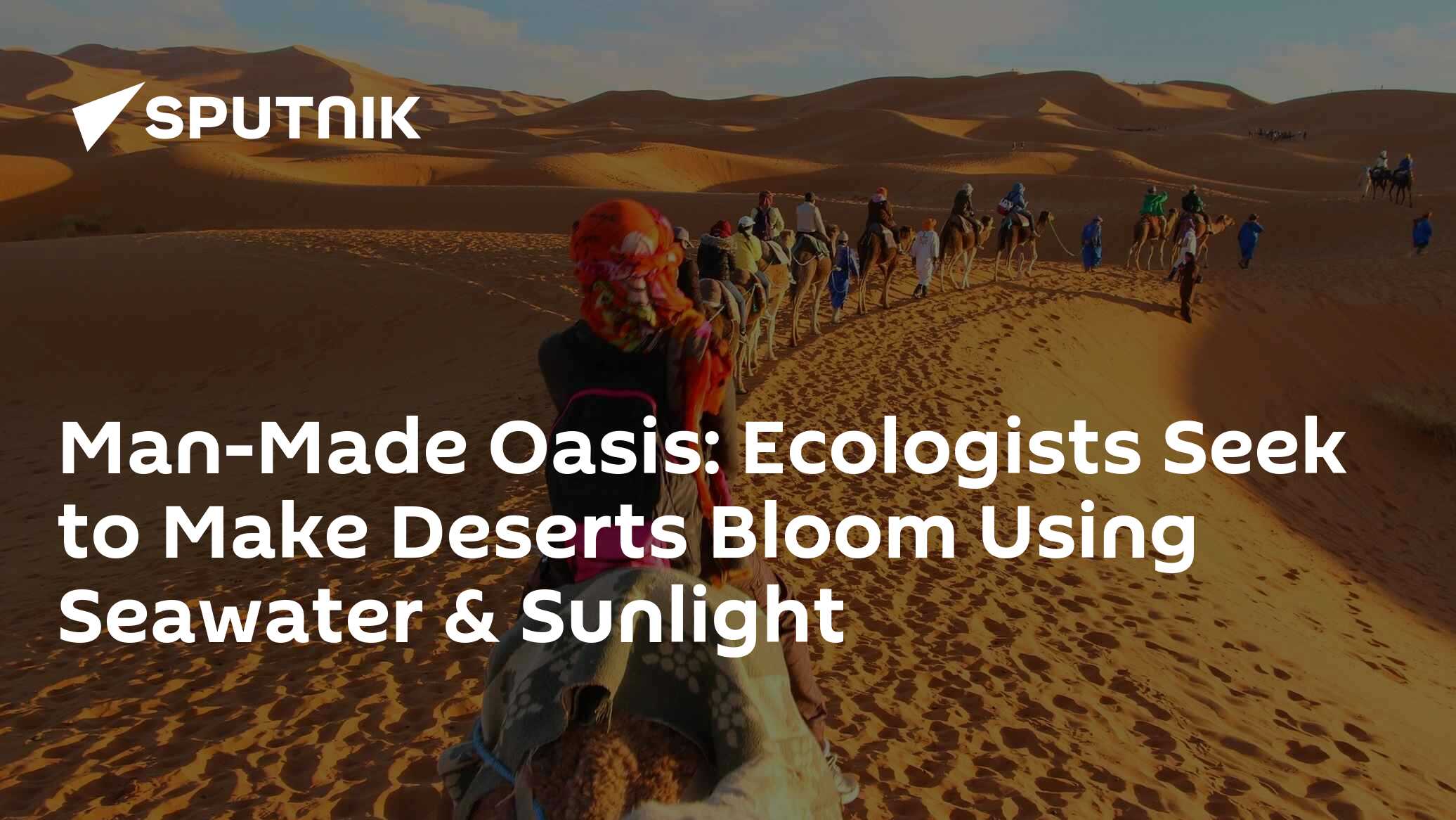 Man-Made Oasis: Ecologists Seek to Make Deserts Bloom Using Seawater ...