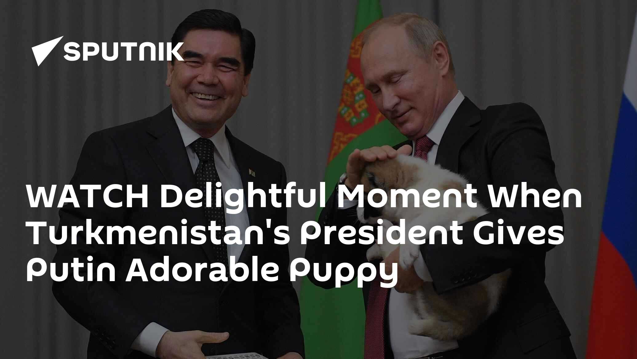 WATCH Delightful Moment When Turkmenistan's President Gives Putin ...