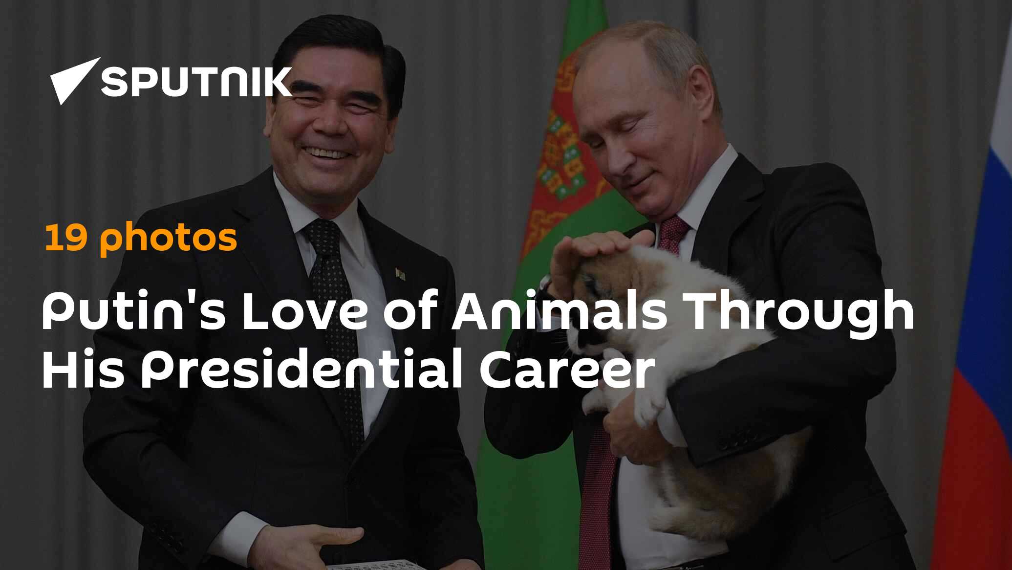 Putin's Love of Animals Through His Presidential Career - 11.10.2017 ...