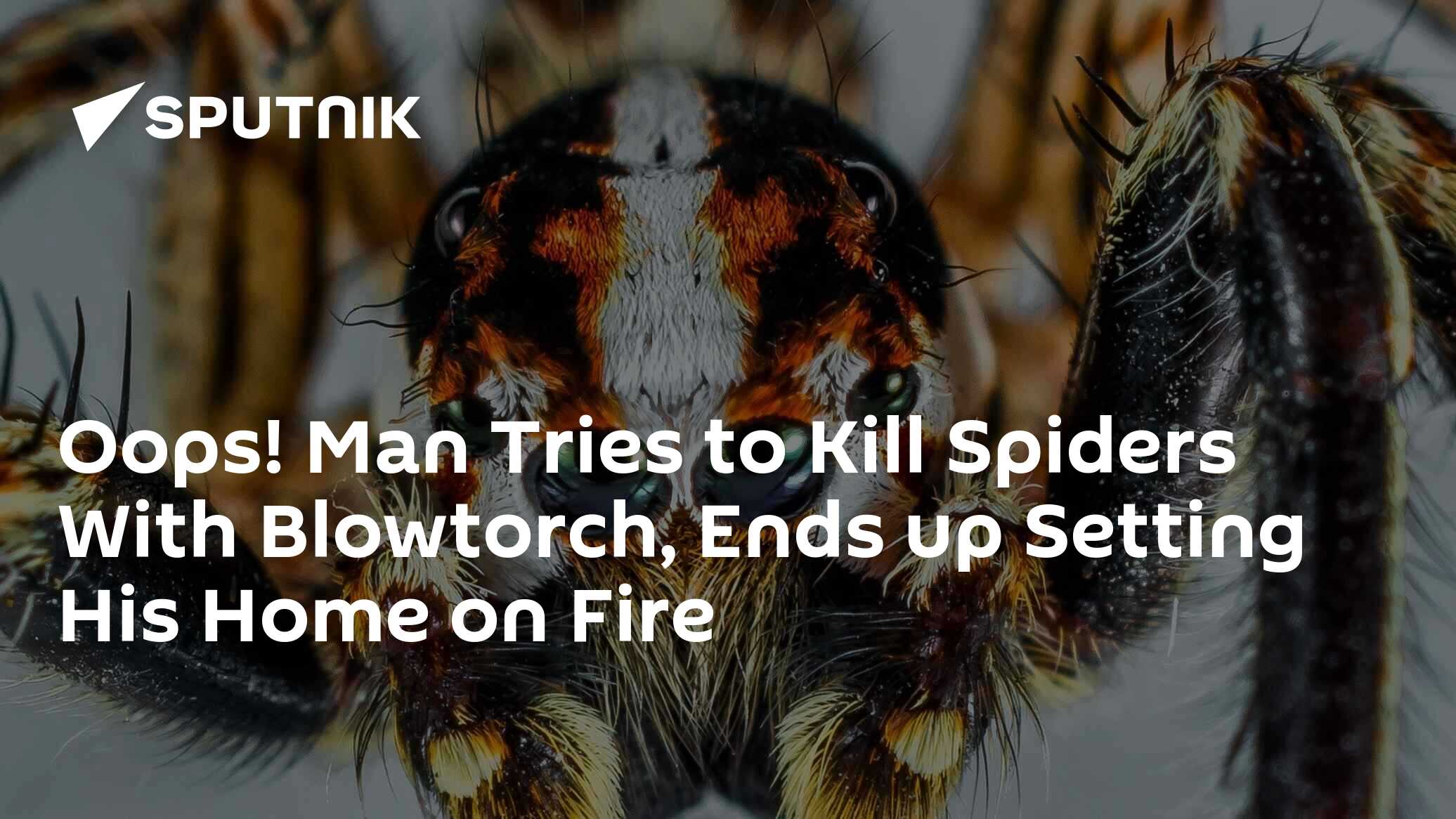 Oops! Man Tries to Kill Spiders With Blowtorch, Ends up Setting His ...