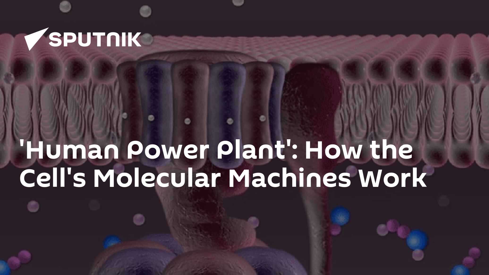'Human Power Plant': How the Cell's Molecular Machines Work - 23.10. ...