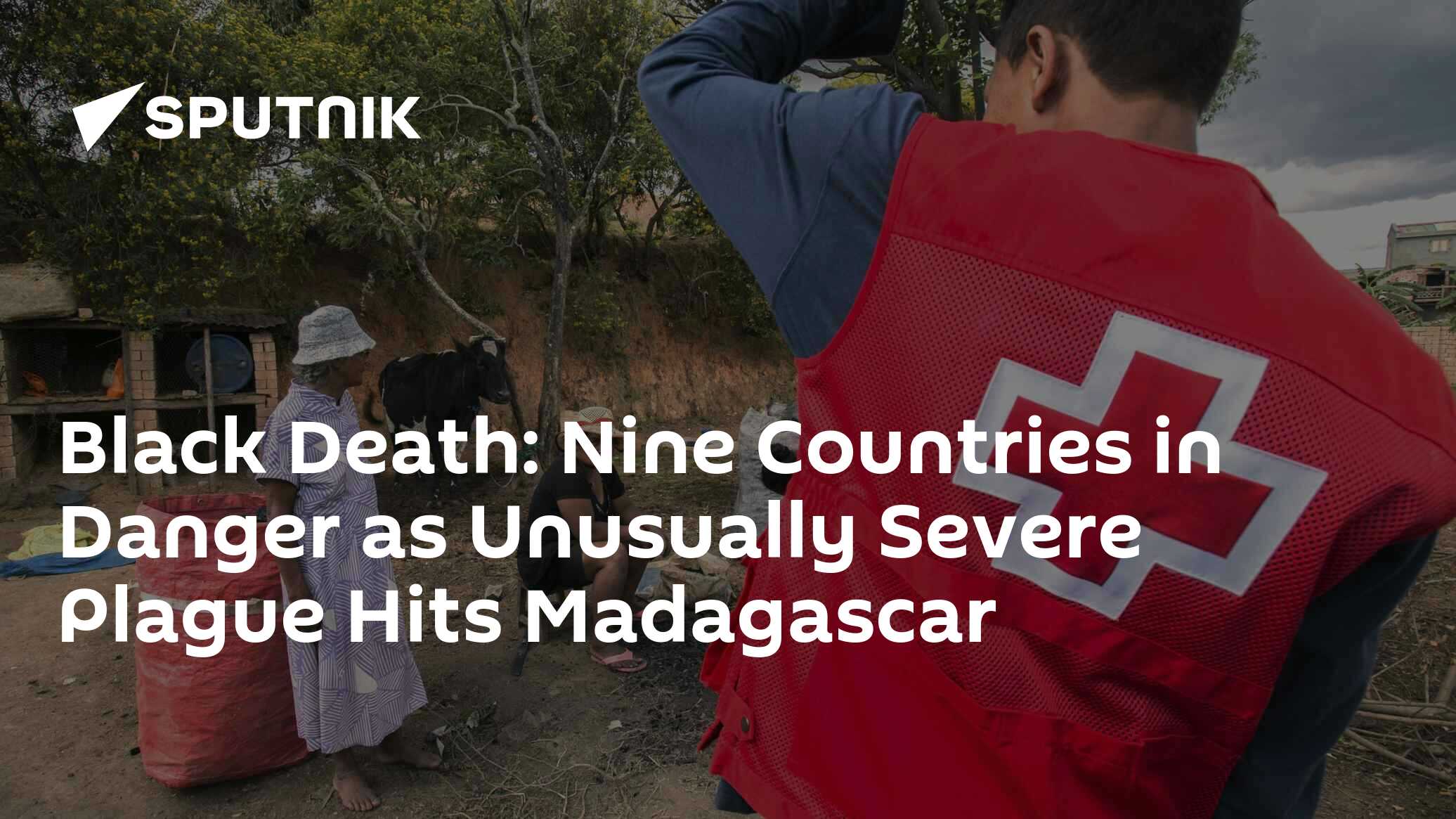 Black Death: Nine Countries in Danger as Unusually Severe Plague Hits ...