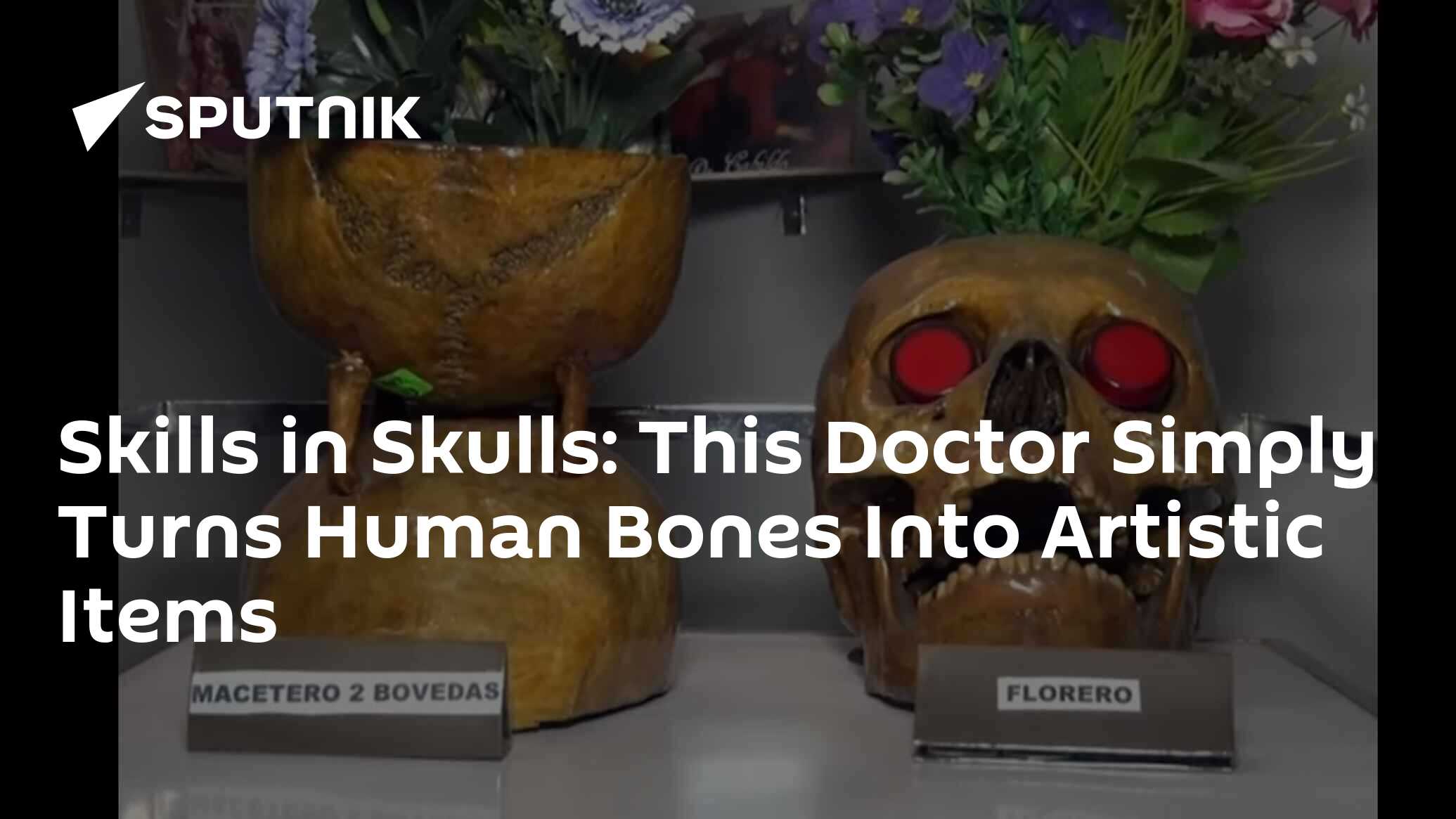 Skills in Skulls: This Doctor Simply Turns Human Bones Into Artistic ...