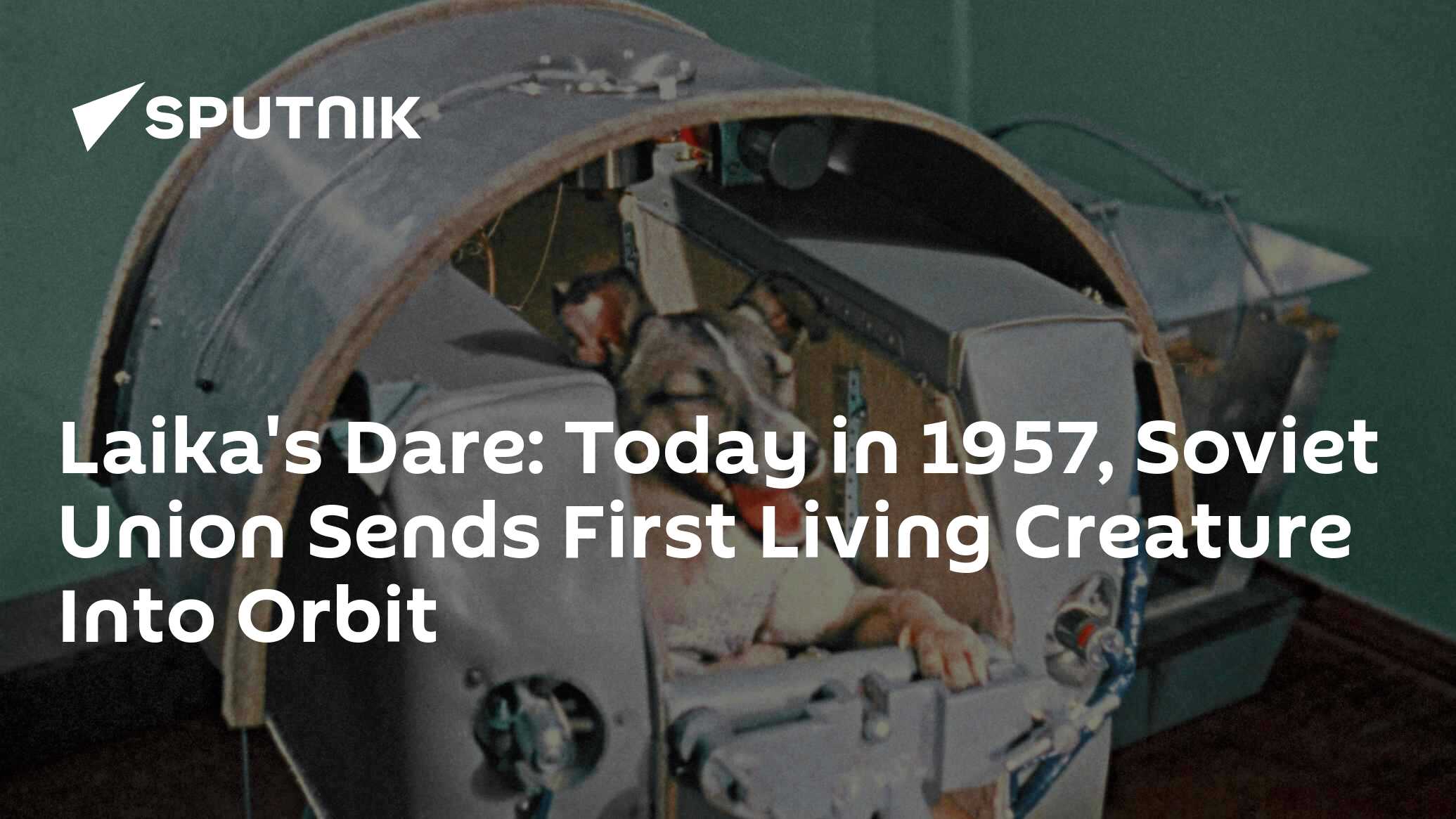 Laika's Dare: Today in 1957, Soviet Union Sends First Living Creature ...