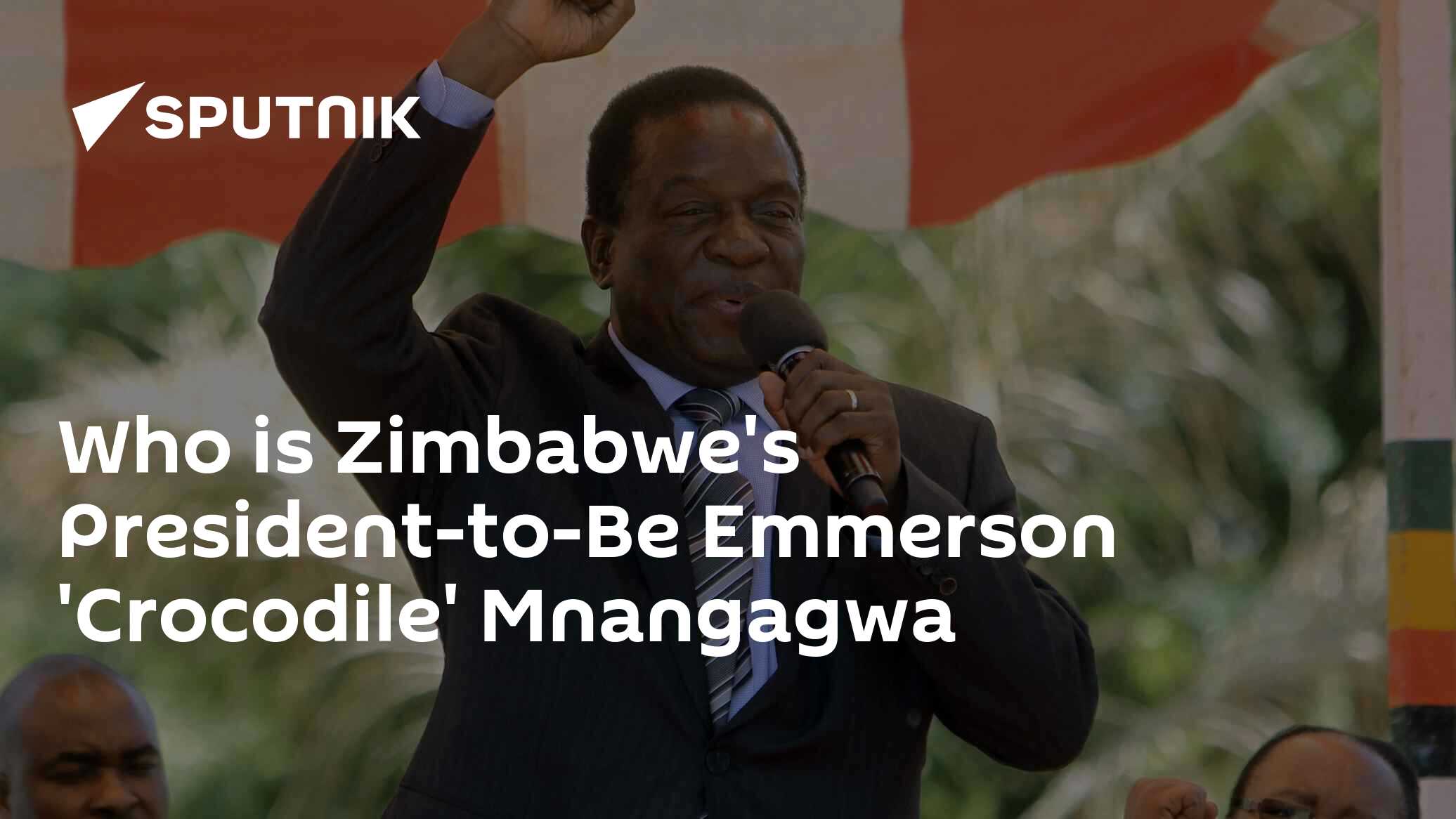 Who is Zimbabwe's President-to-Be Emmerson 'Crocodile' Mnangagwa - 23. ...