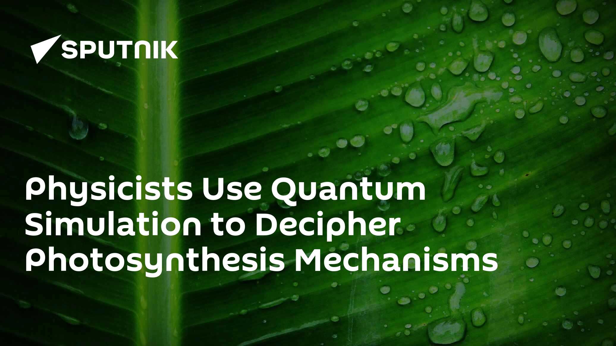 Physicists Use Quantum Simulation to Decipher Photosynthesis Mechanisms ...