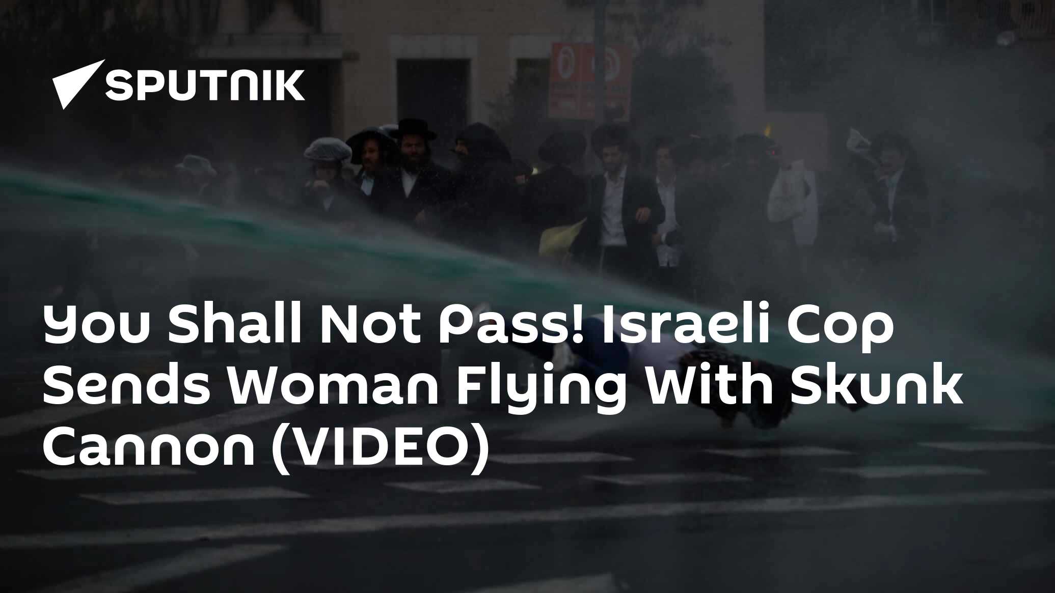 You Shall Not Pass! Israeli Cop Sends Woman Flying With Skunk Cannon ...