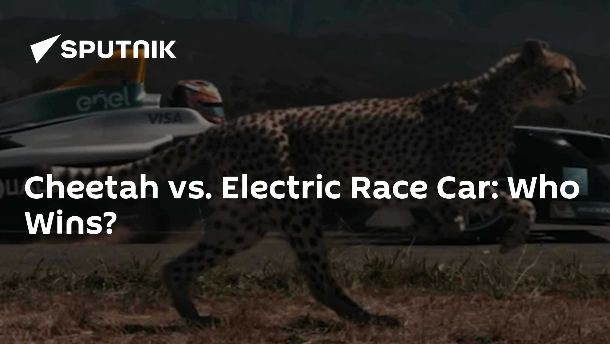 Cheetah vs. Electric Race Car: Who Wins? - 08.12.2017, Sputnik ...