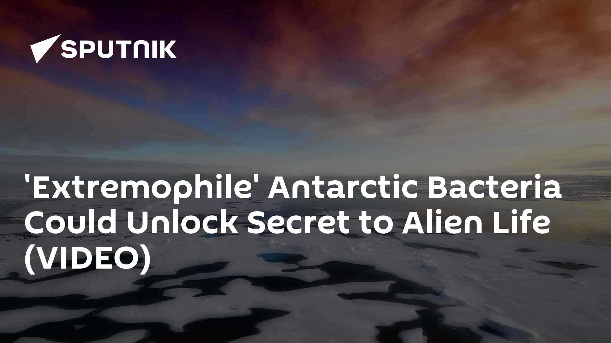 'Extremophile' Antarctic Bacteria Could Unlock Secret to Alien Life ...