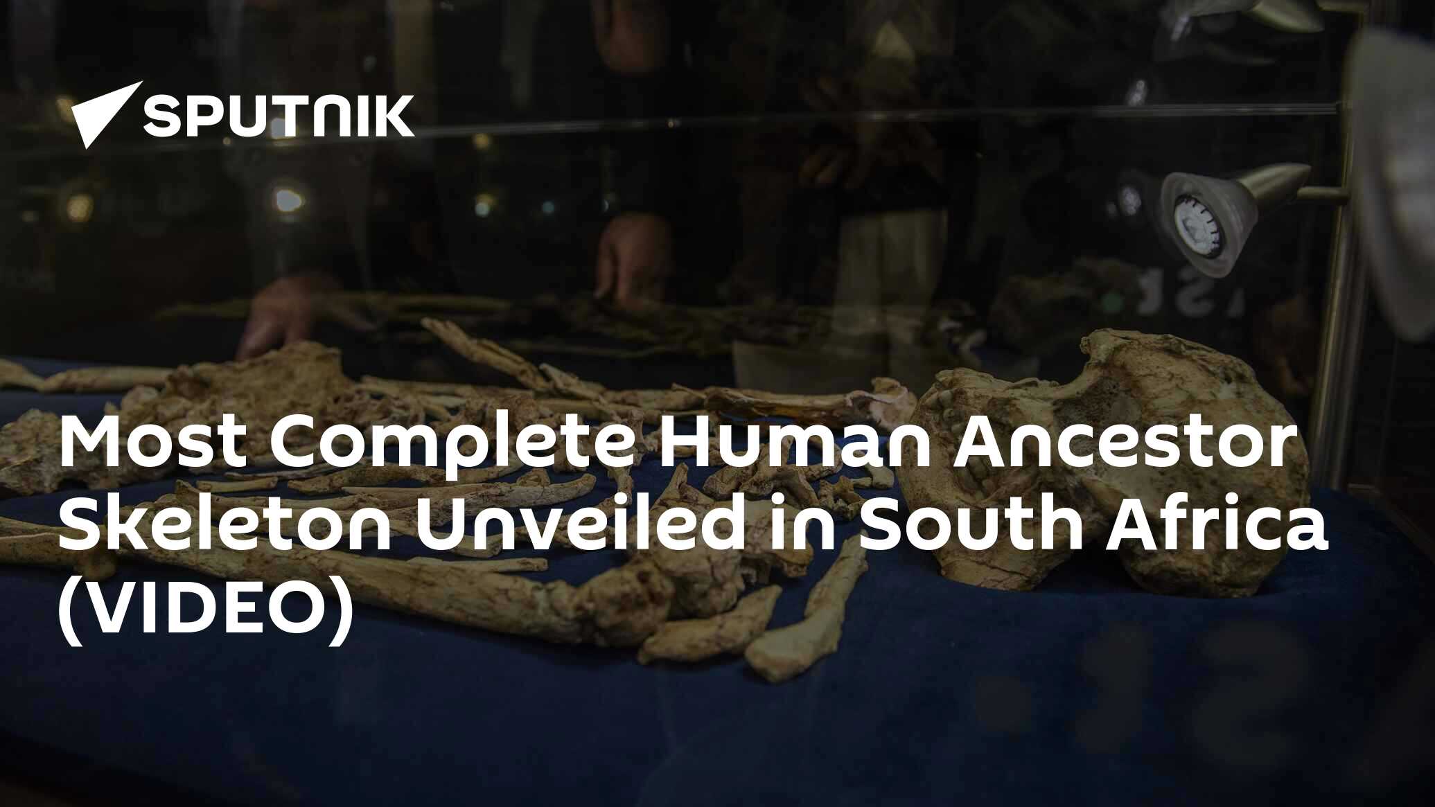 Most Complete Human Ancestor Skeleton Unveiled in South Africa (VIDEO ...