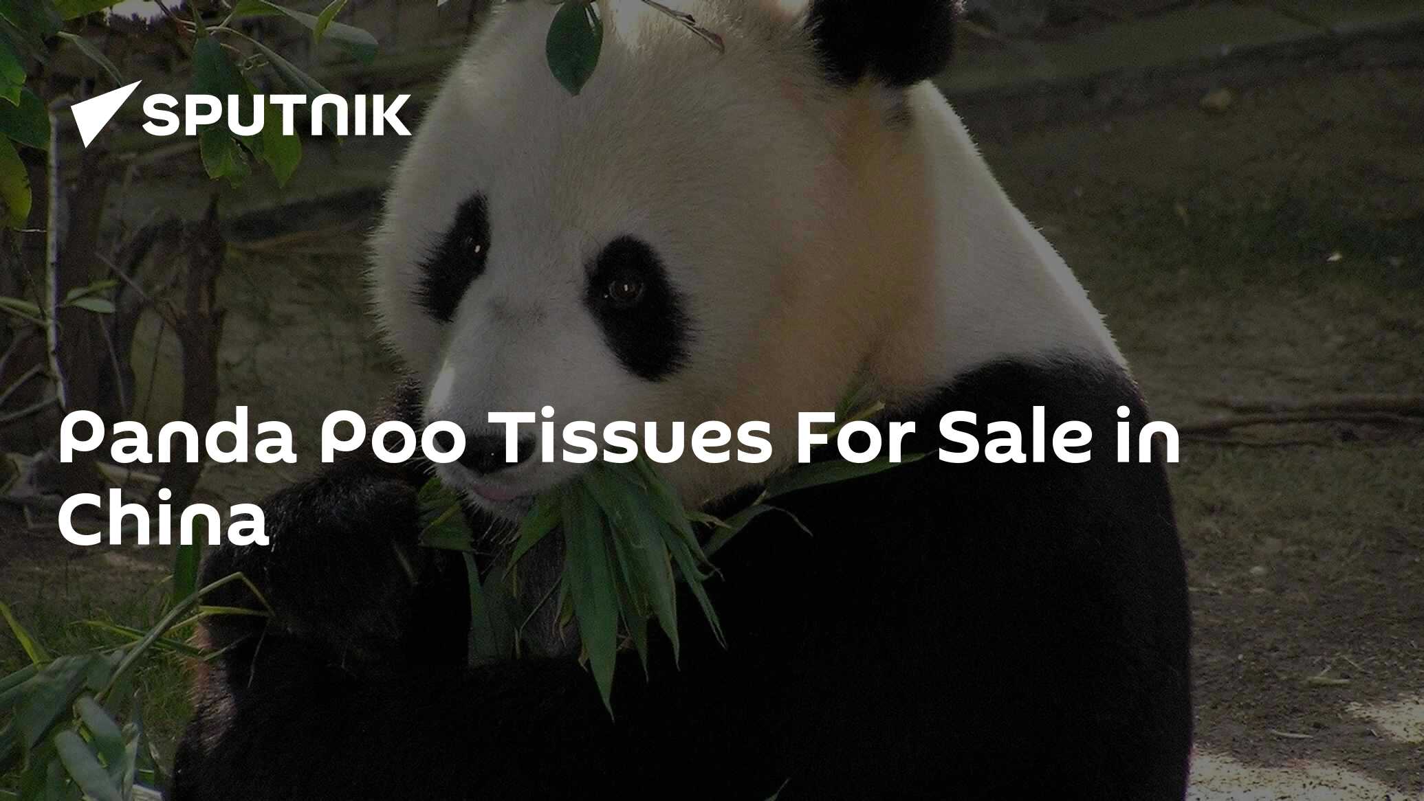 Panda Poo Tissues For Sale in China - 19.12.2017, Sputnik International