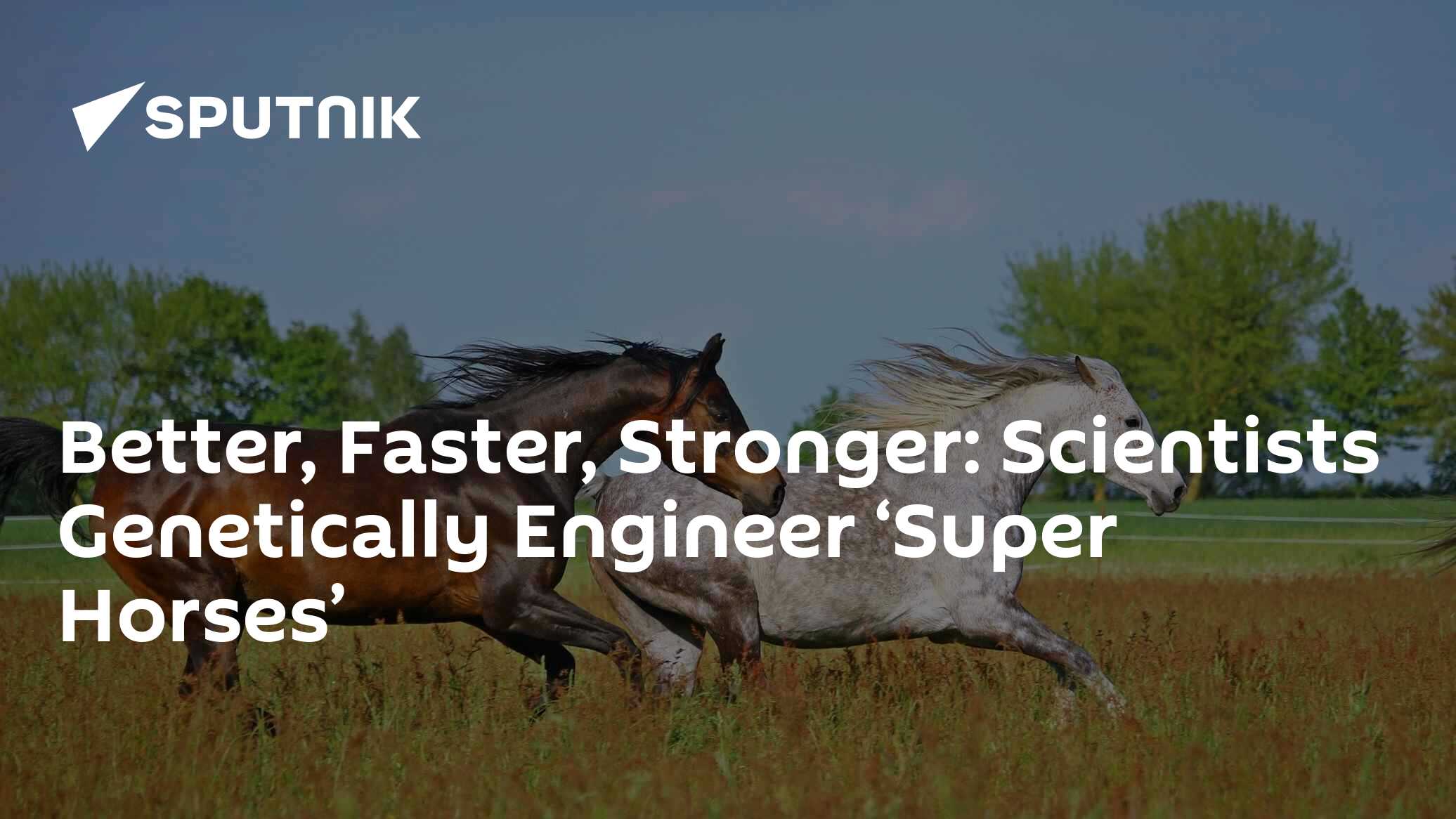 Better, Faster, Stronger: Scientists Genetically Engineer ‘Super Horses ...